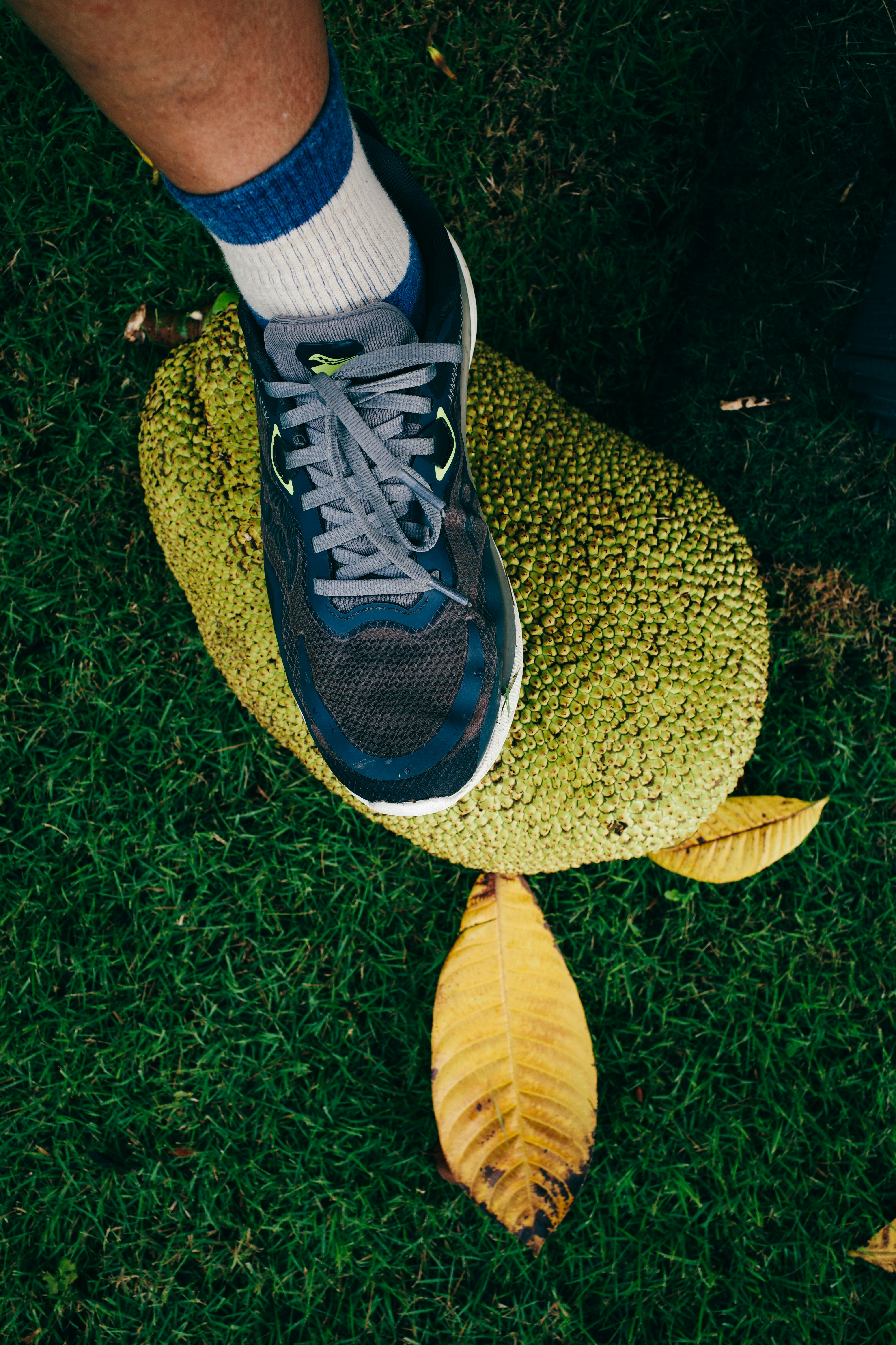 A foot is stepping on a giant jackfruit.