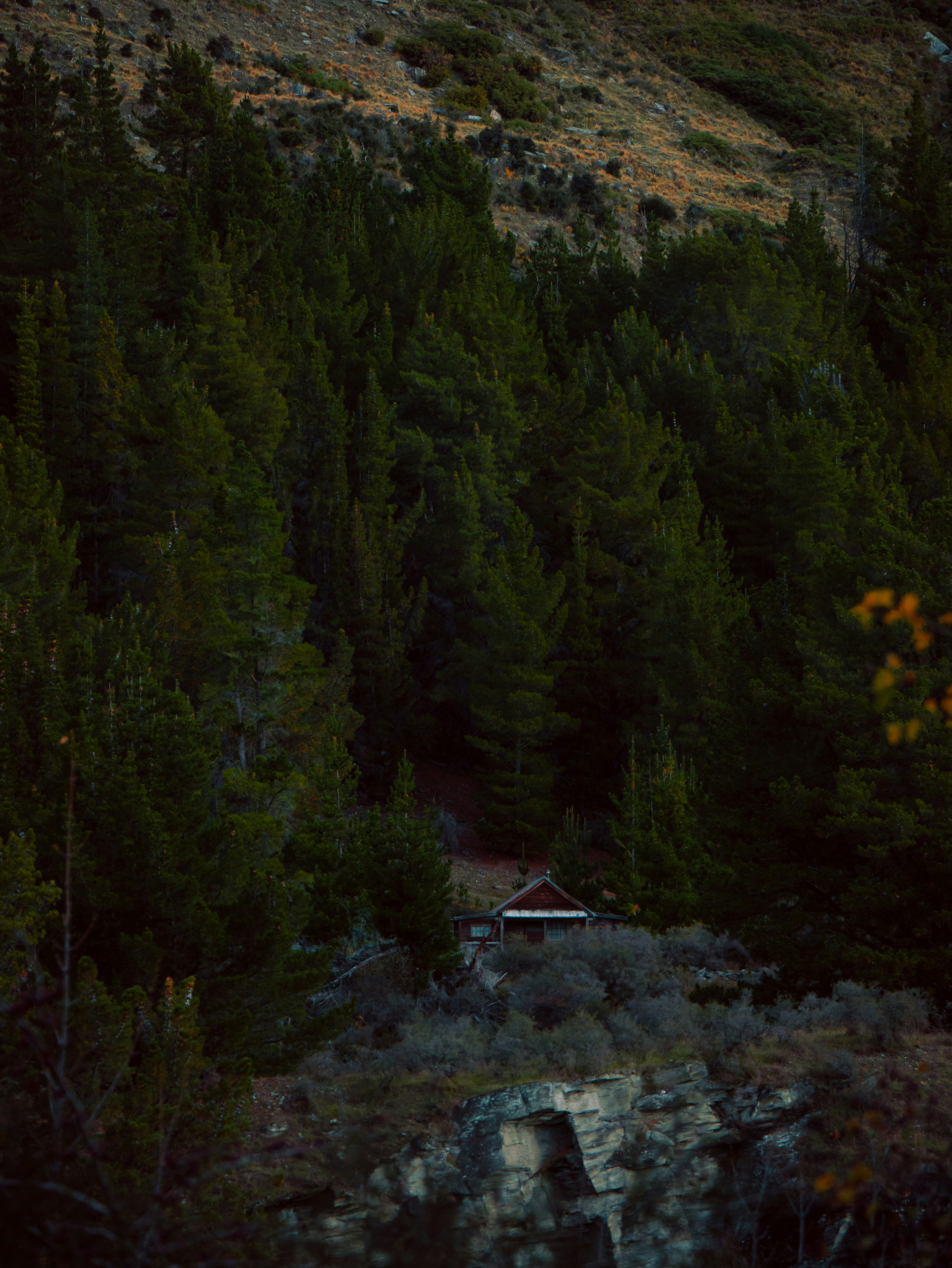 Whispers of Solitude: A Hidden Retreat
