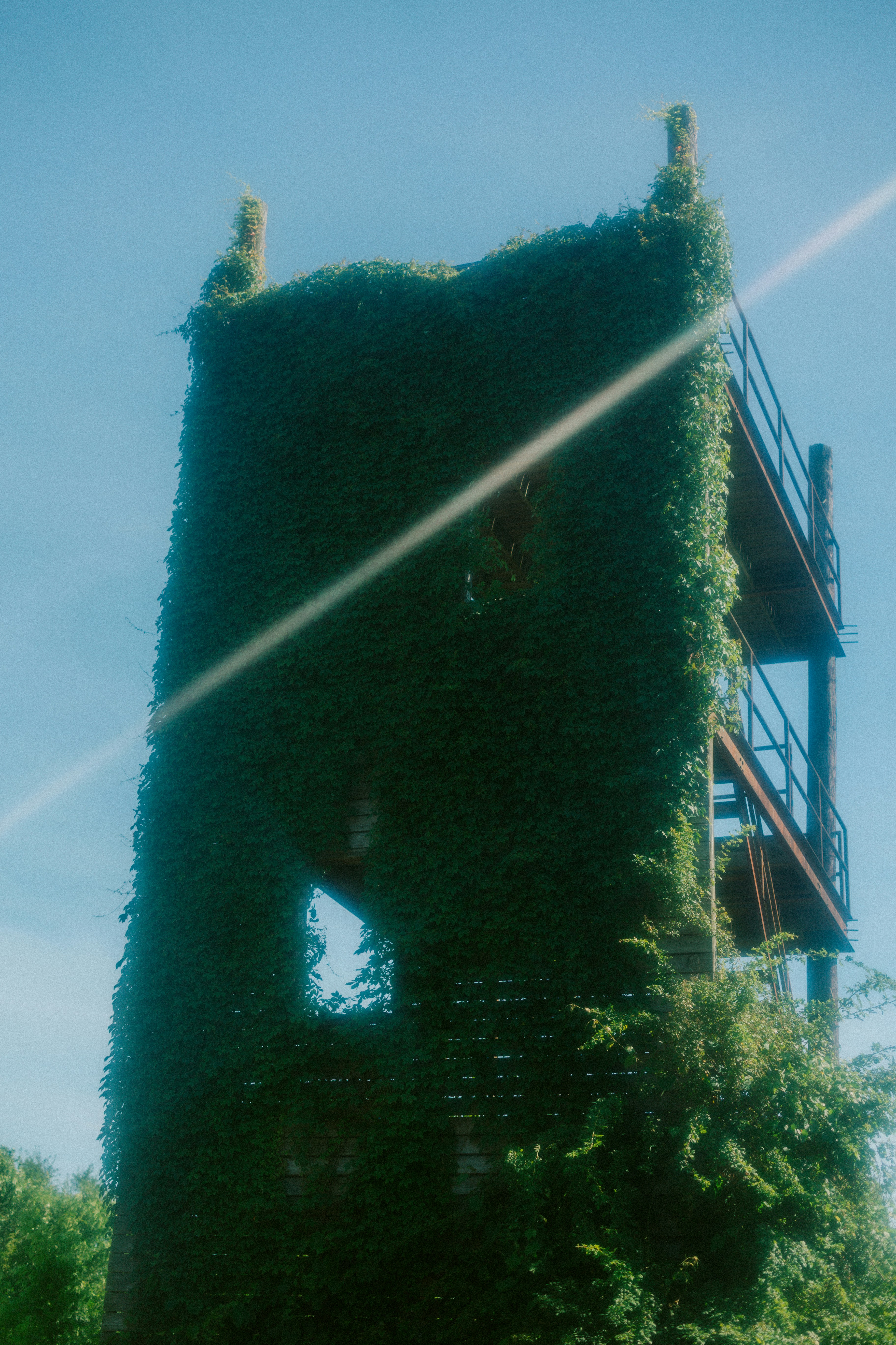 Ivy-Laced Watchtower Against a Bright Sky