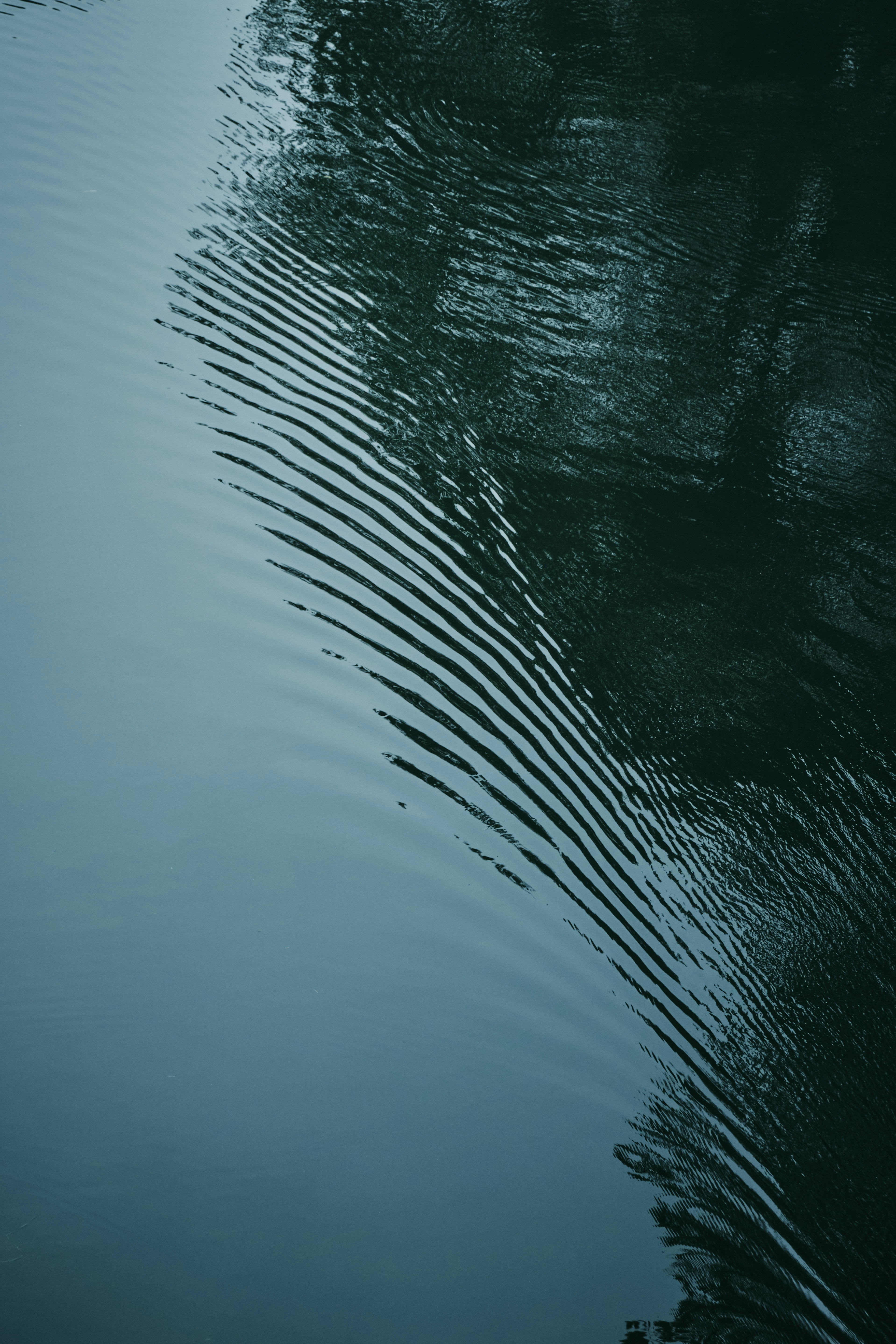 Ripples create a pattern on the water's surface.