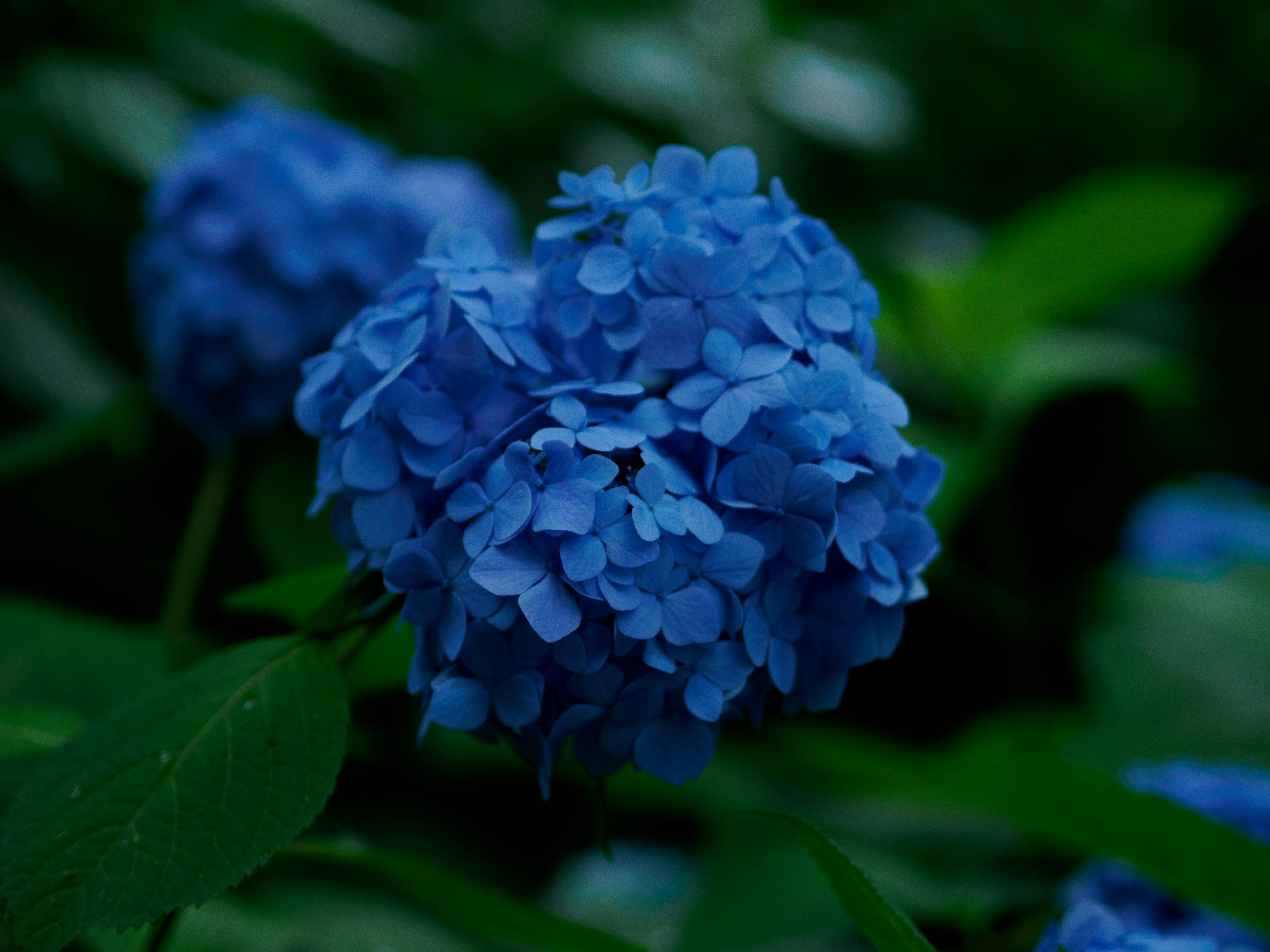 Photo by mits hak with OM System OM-3