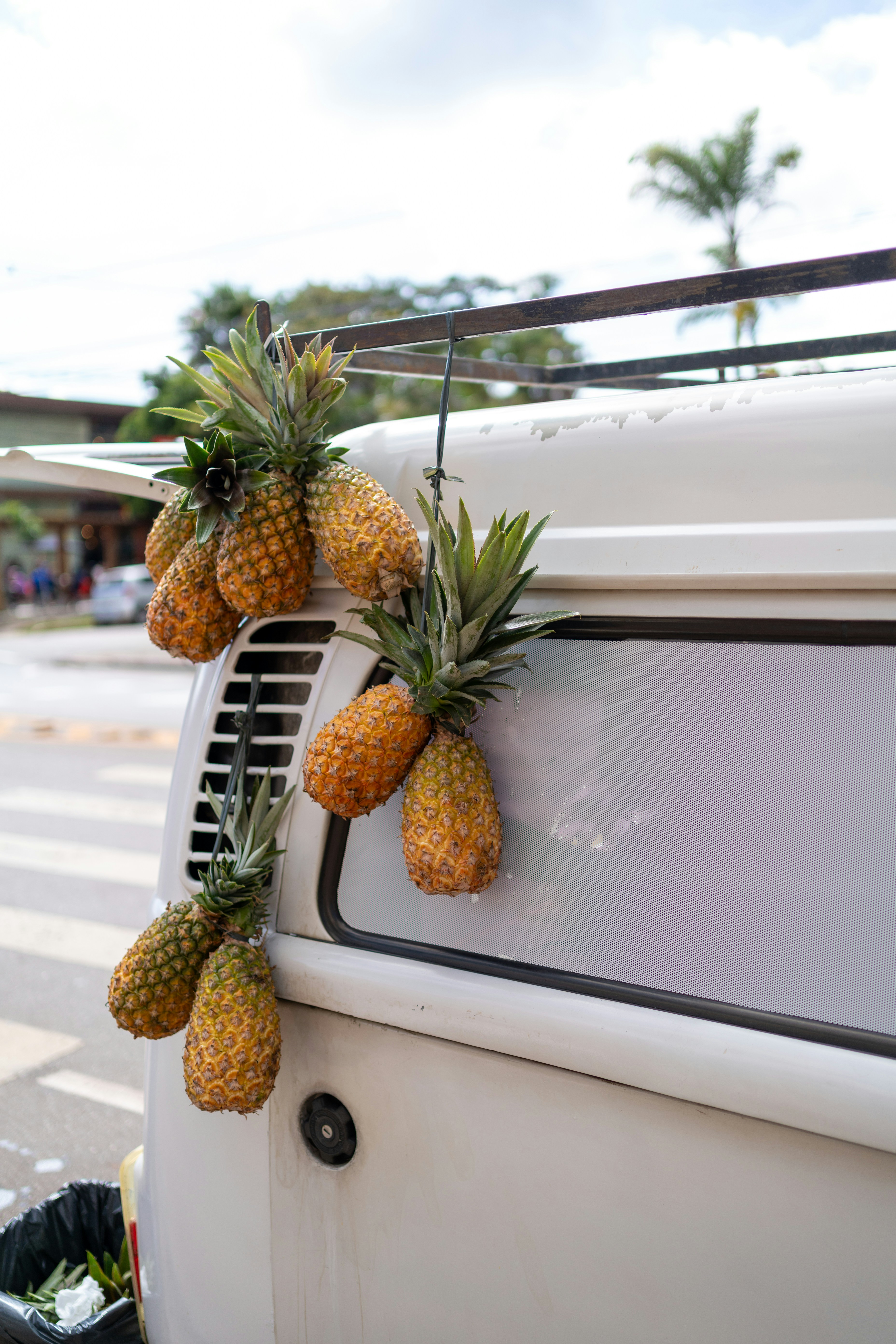 Tropical Charm on Wheels