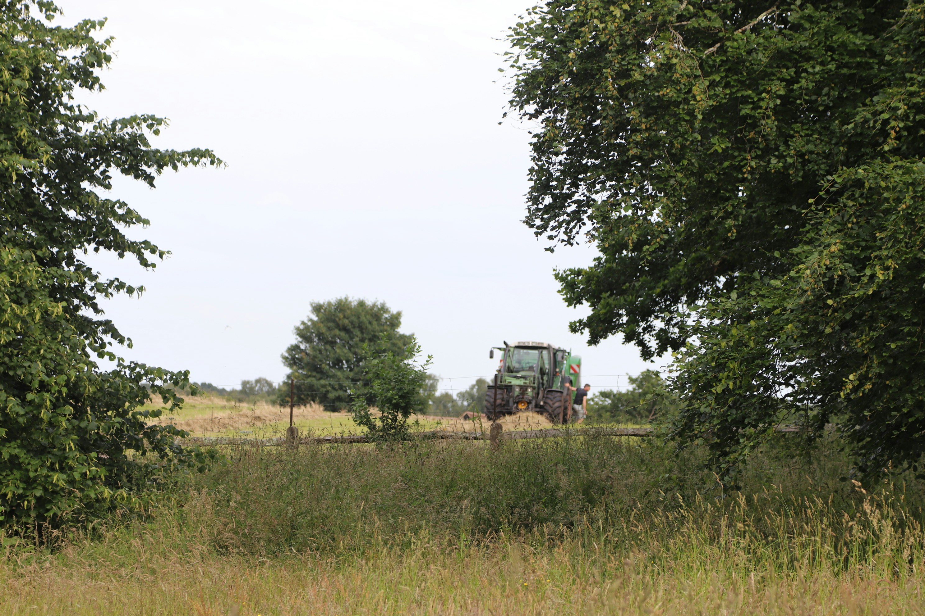 A tractor works the field, framed by trees.
