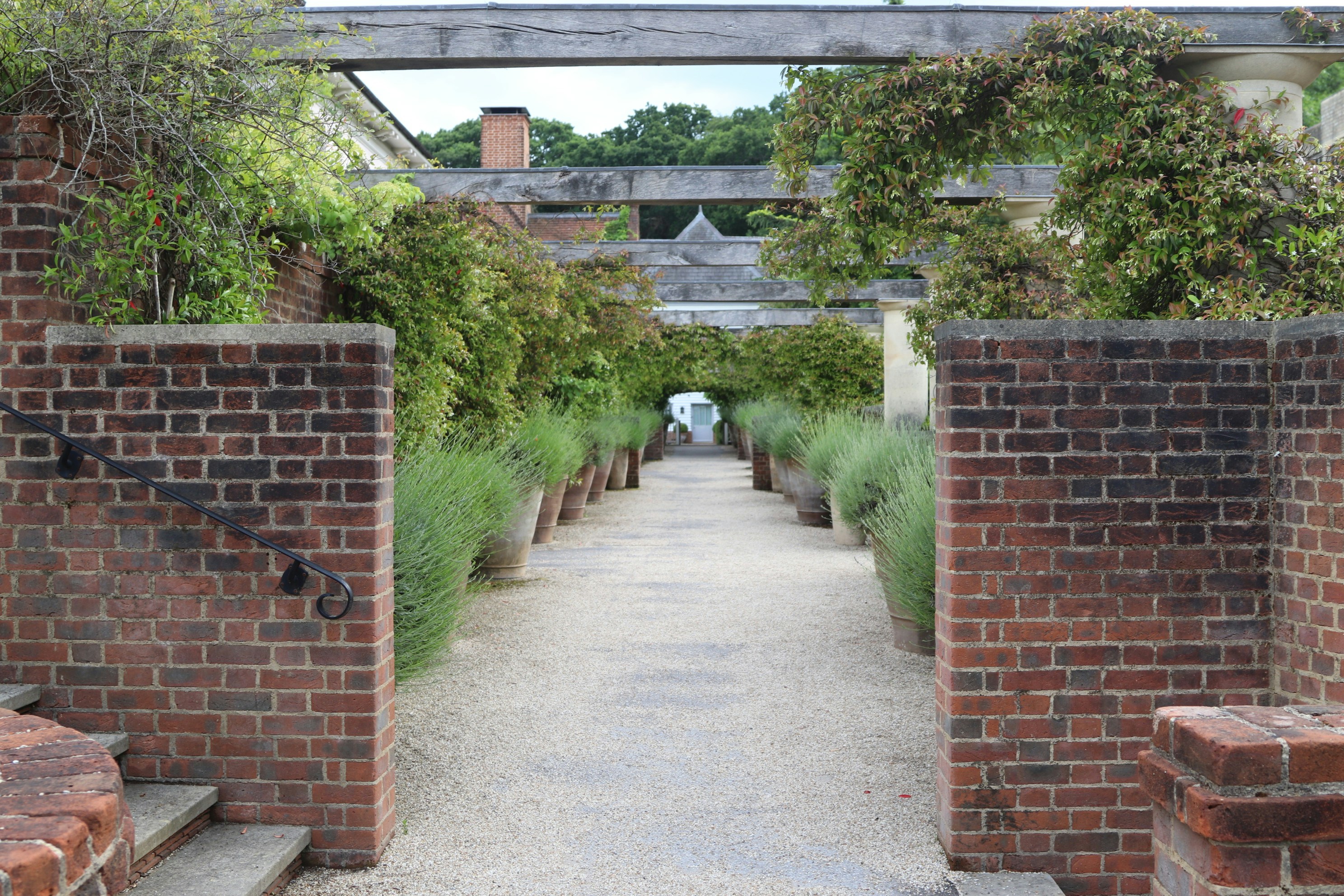 Photo by Tanya Barrow with Canon EOS 77D