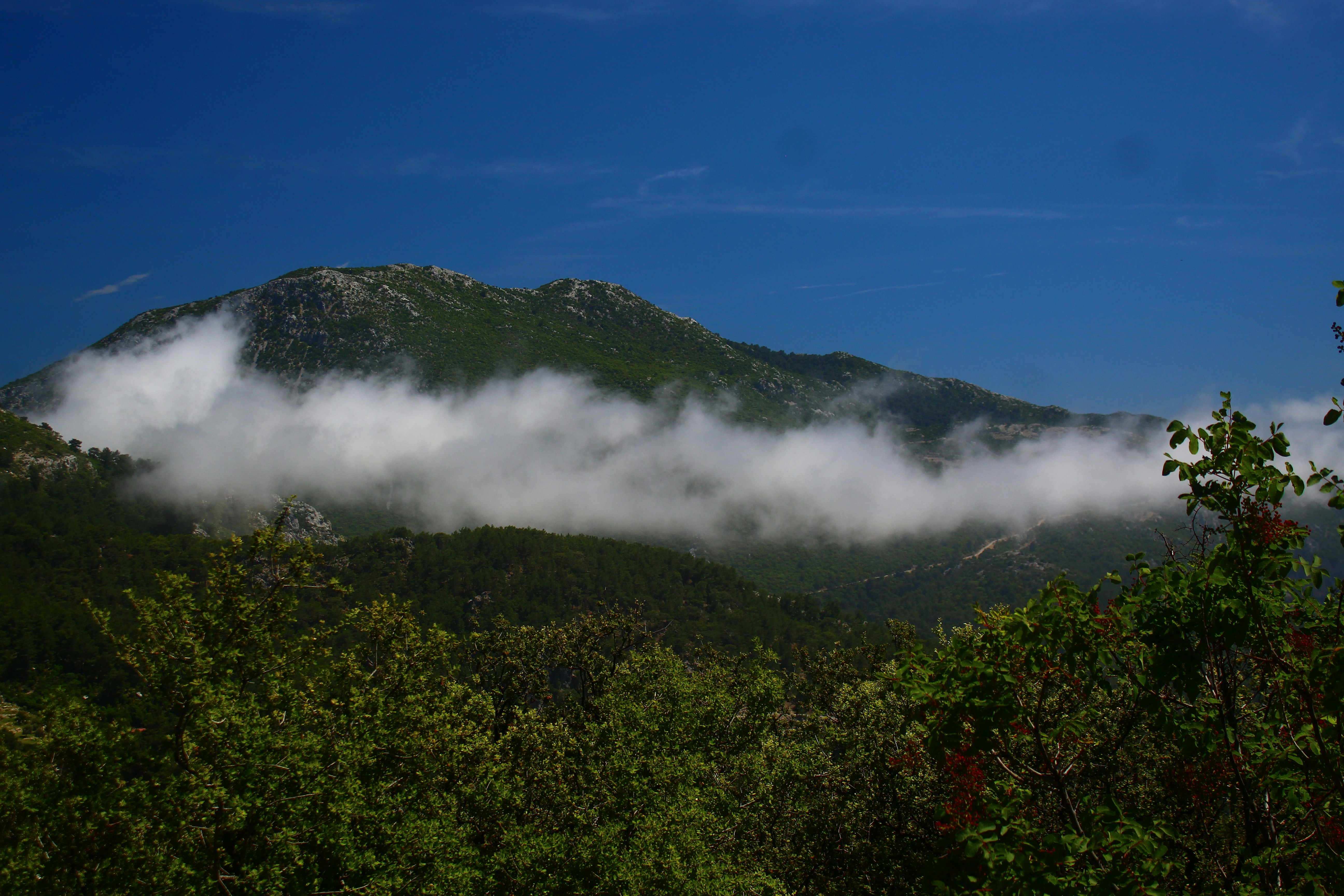 Veil of Mist Over Majestic Peaks