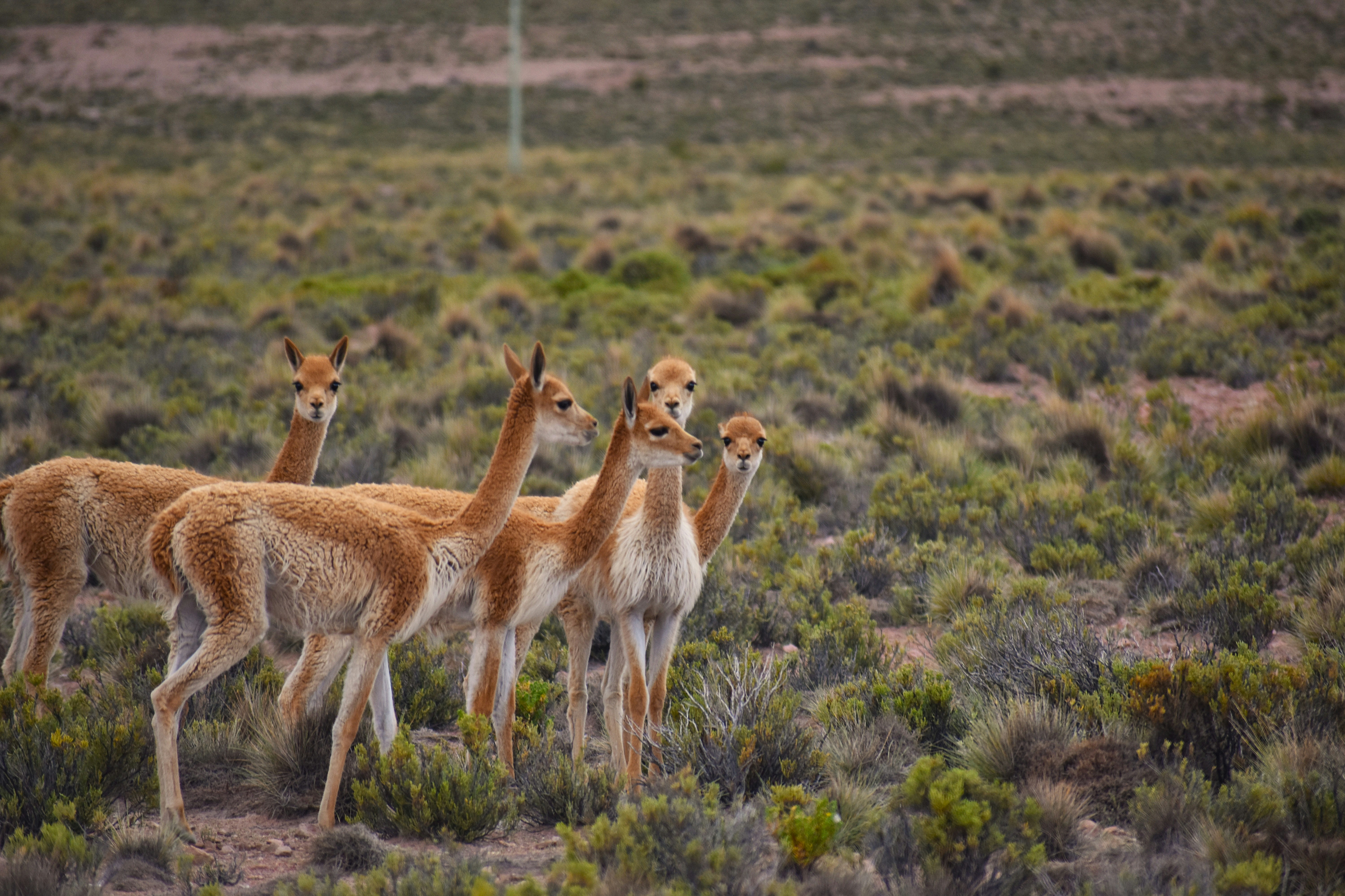 Photo by Matheus Oliveira with Nikon D3400