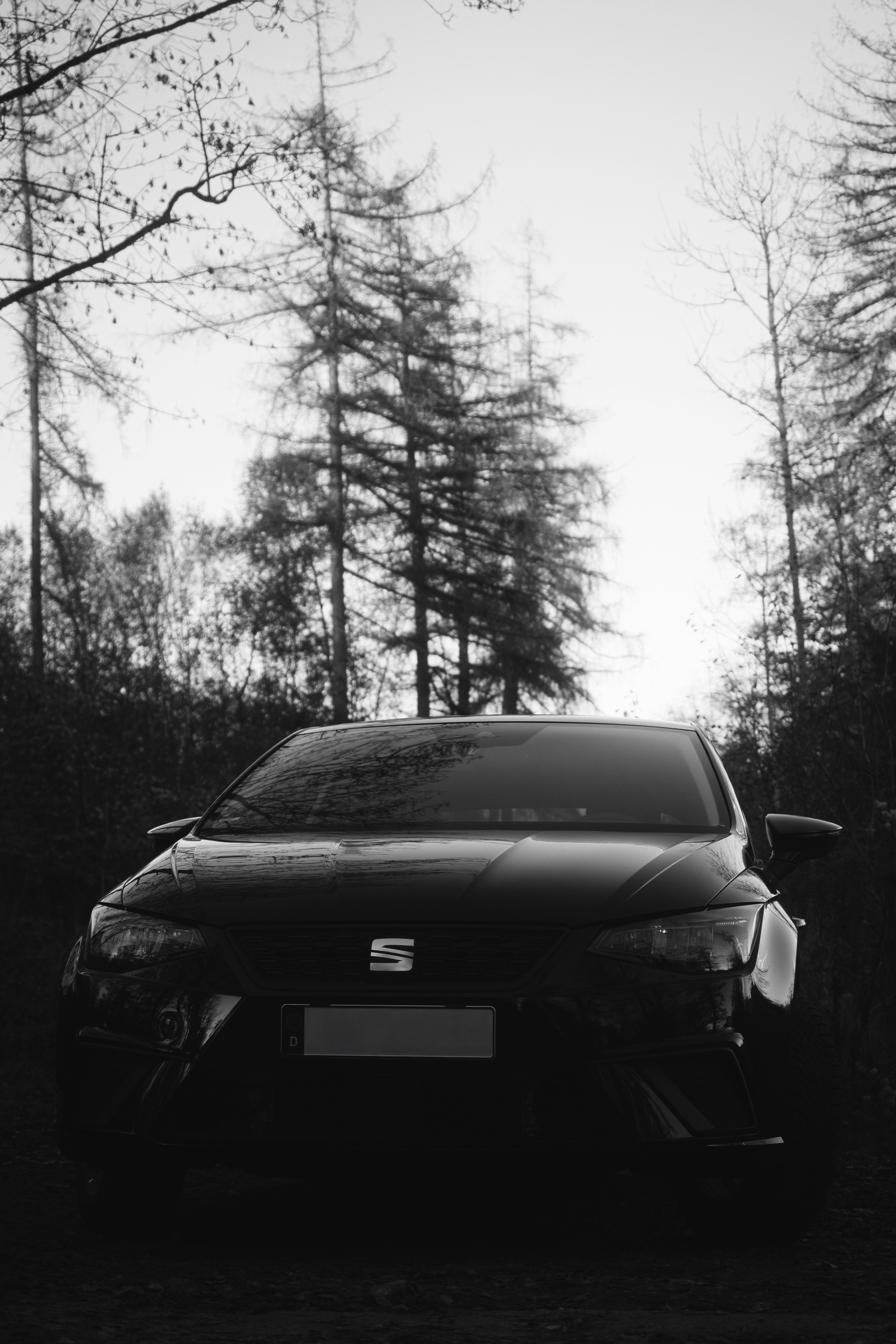 Shadowed Elegance: A Car's Silent Presence
