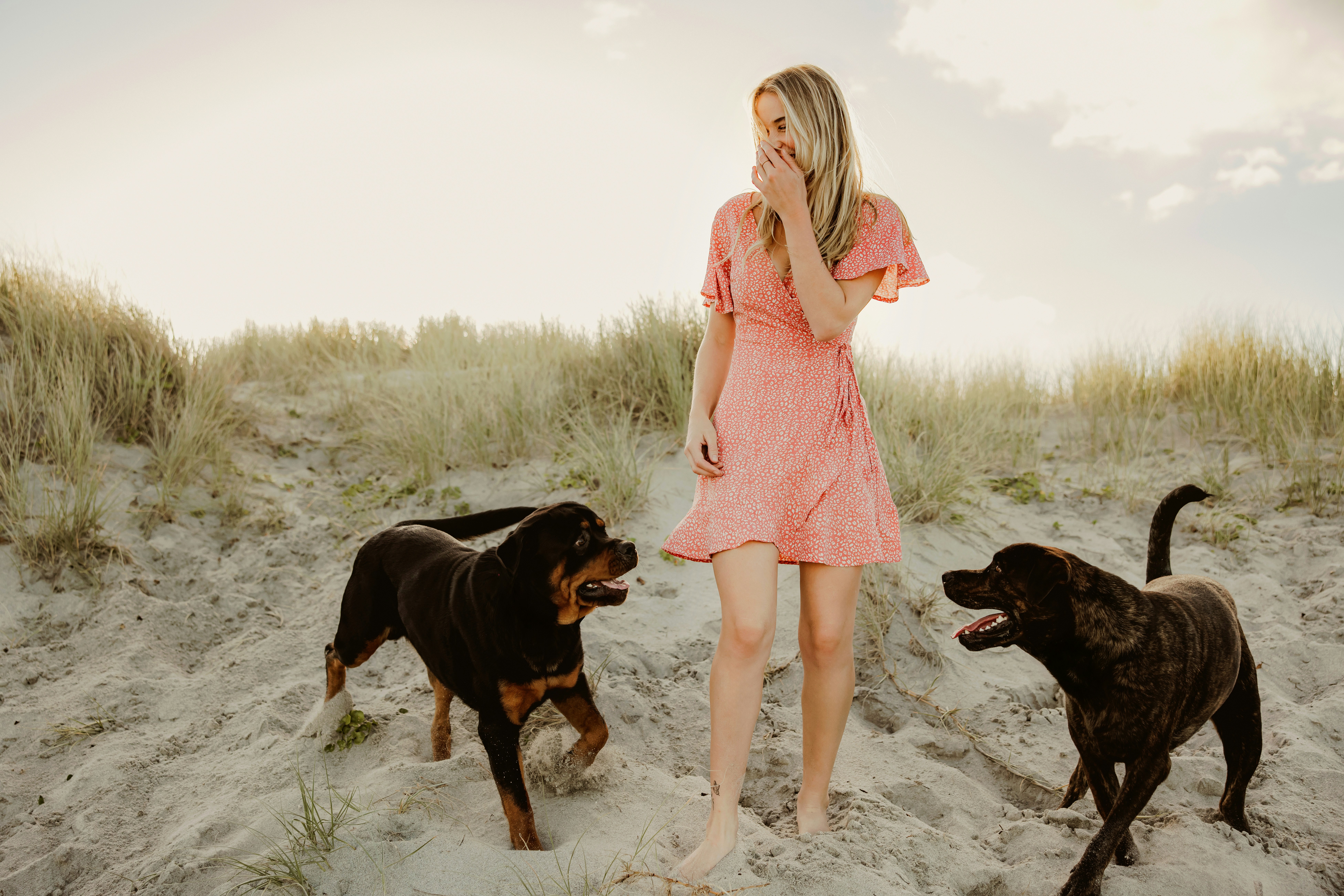 Dune Walk: A Pink Dress, Two Dogs, and a Sunlit Moment