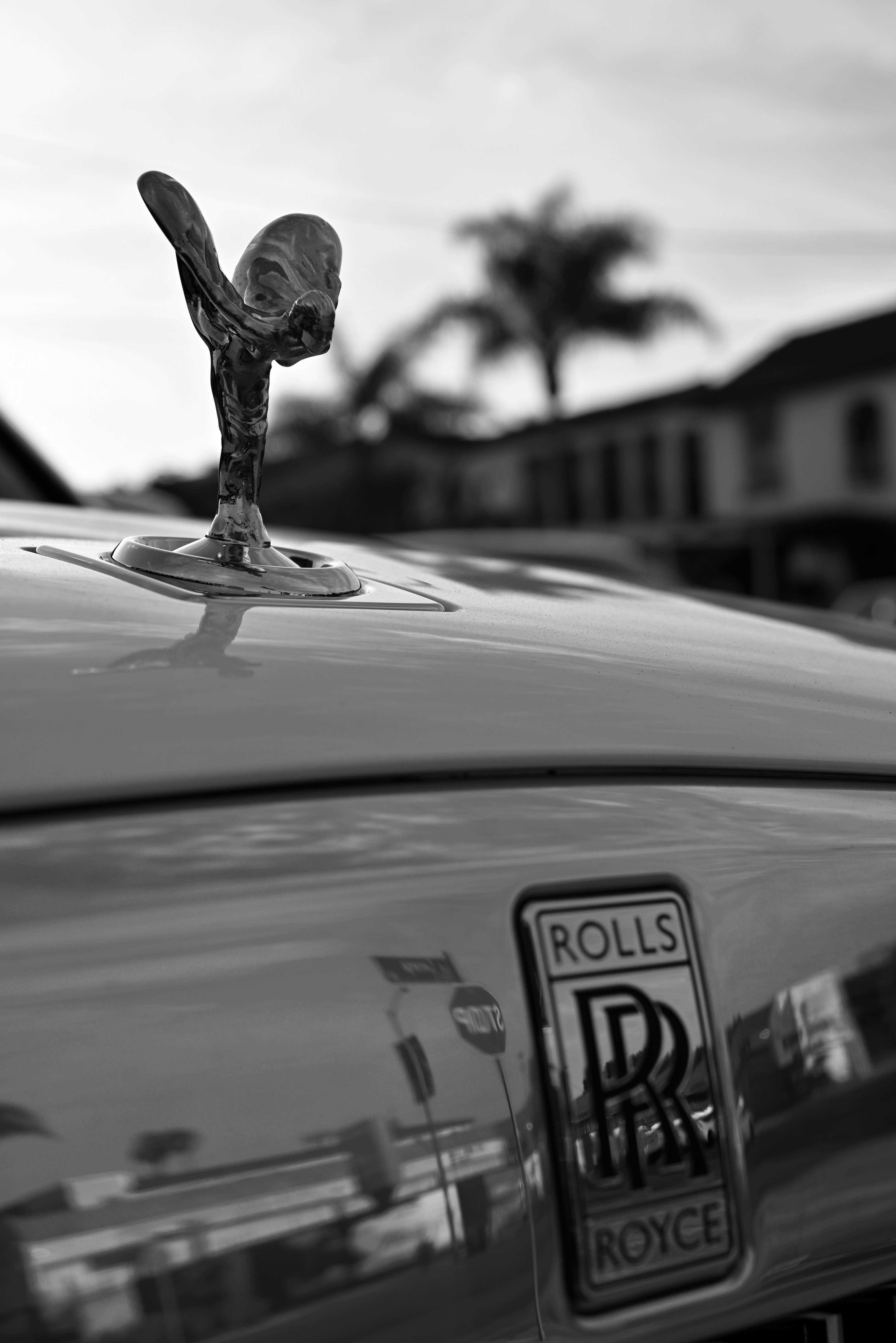 Chrome Spirit: The Rolls-Royce Hood Ornament in a Quiet Monochrome Moment