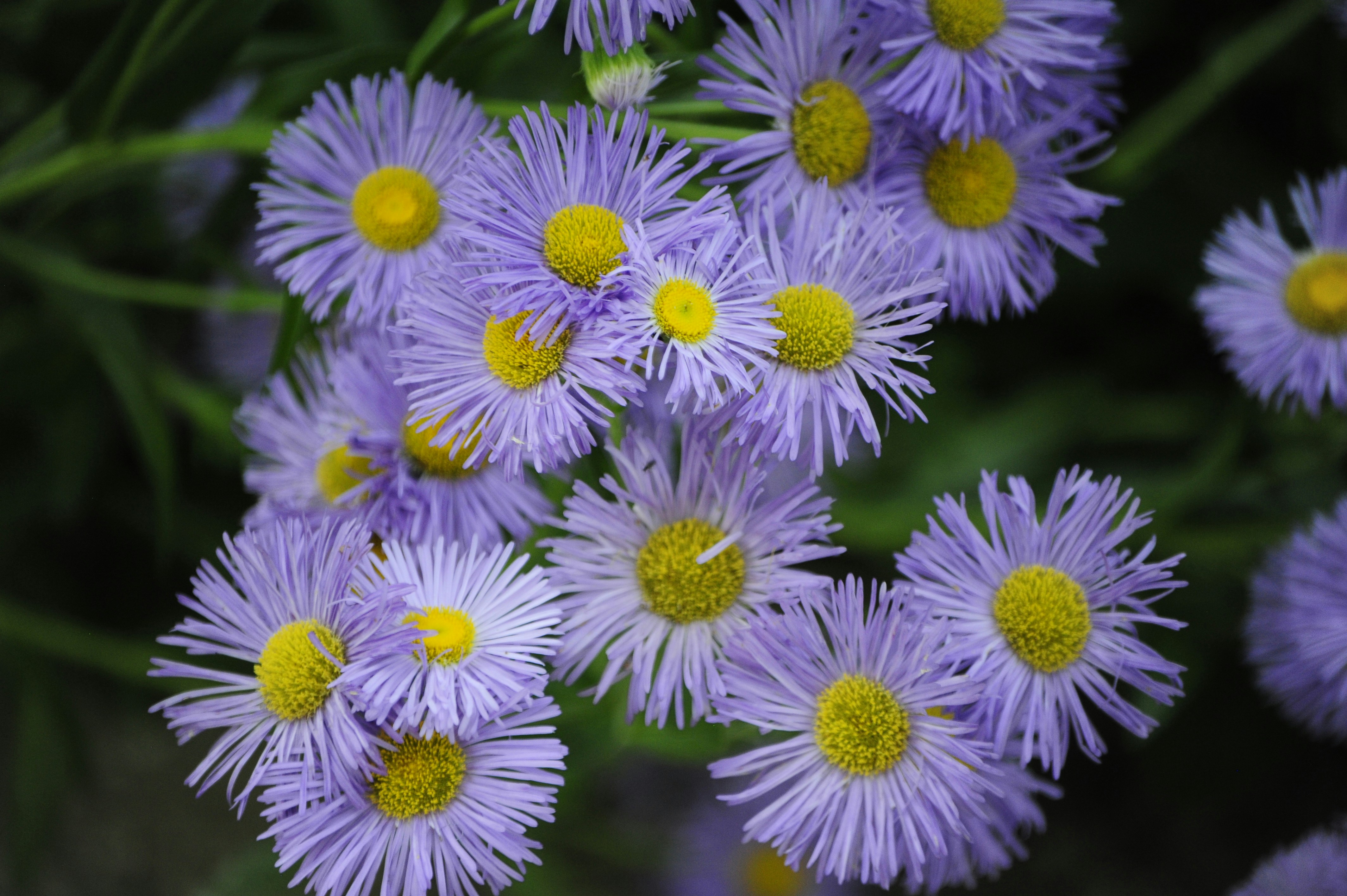 Photo by JOGsplash with Nikon D700