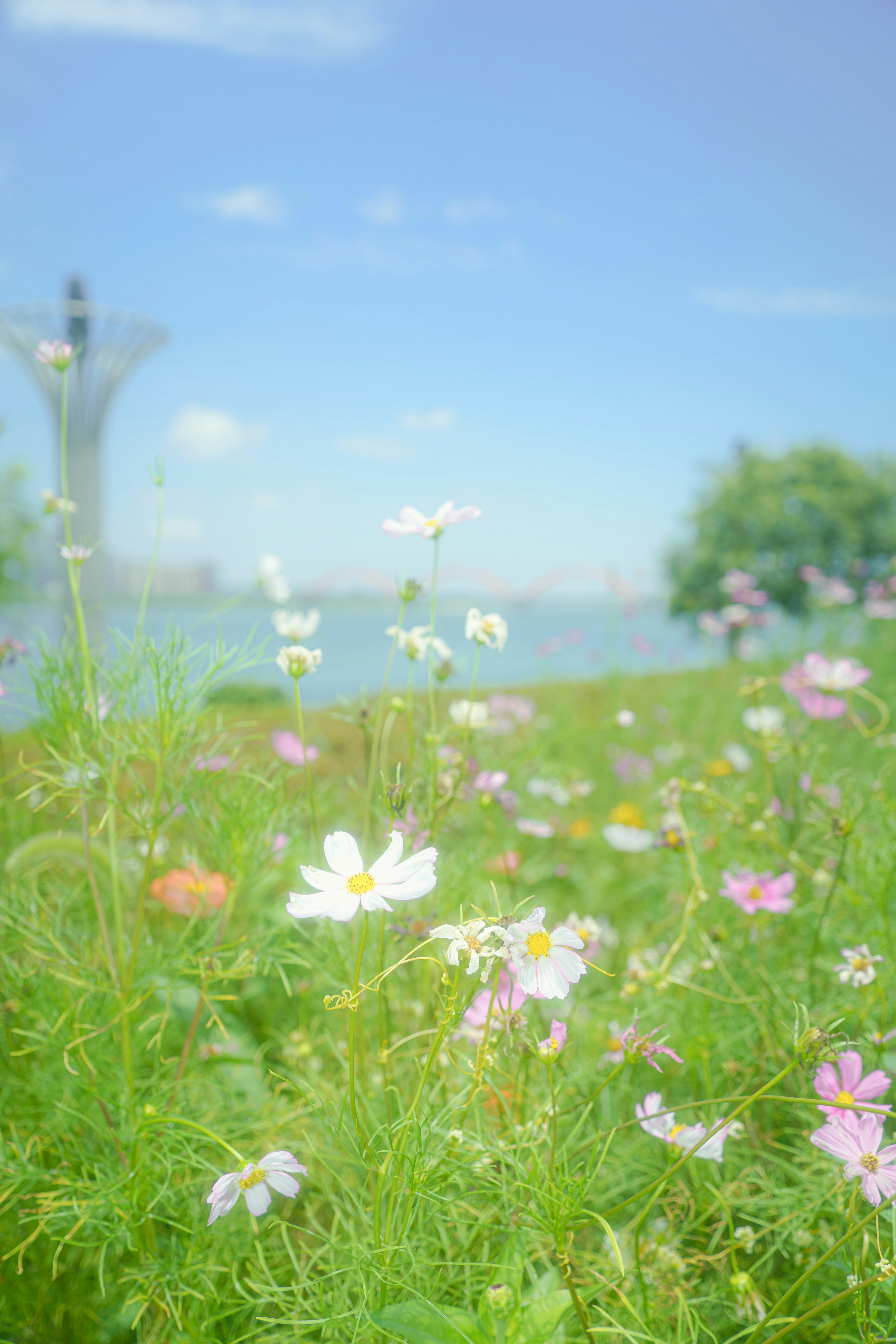 Whispers of Nature Amidst Urban Splendor