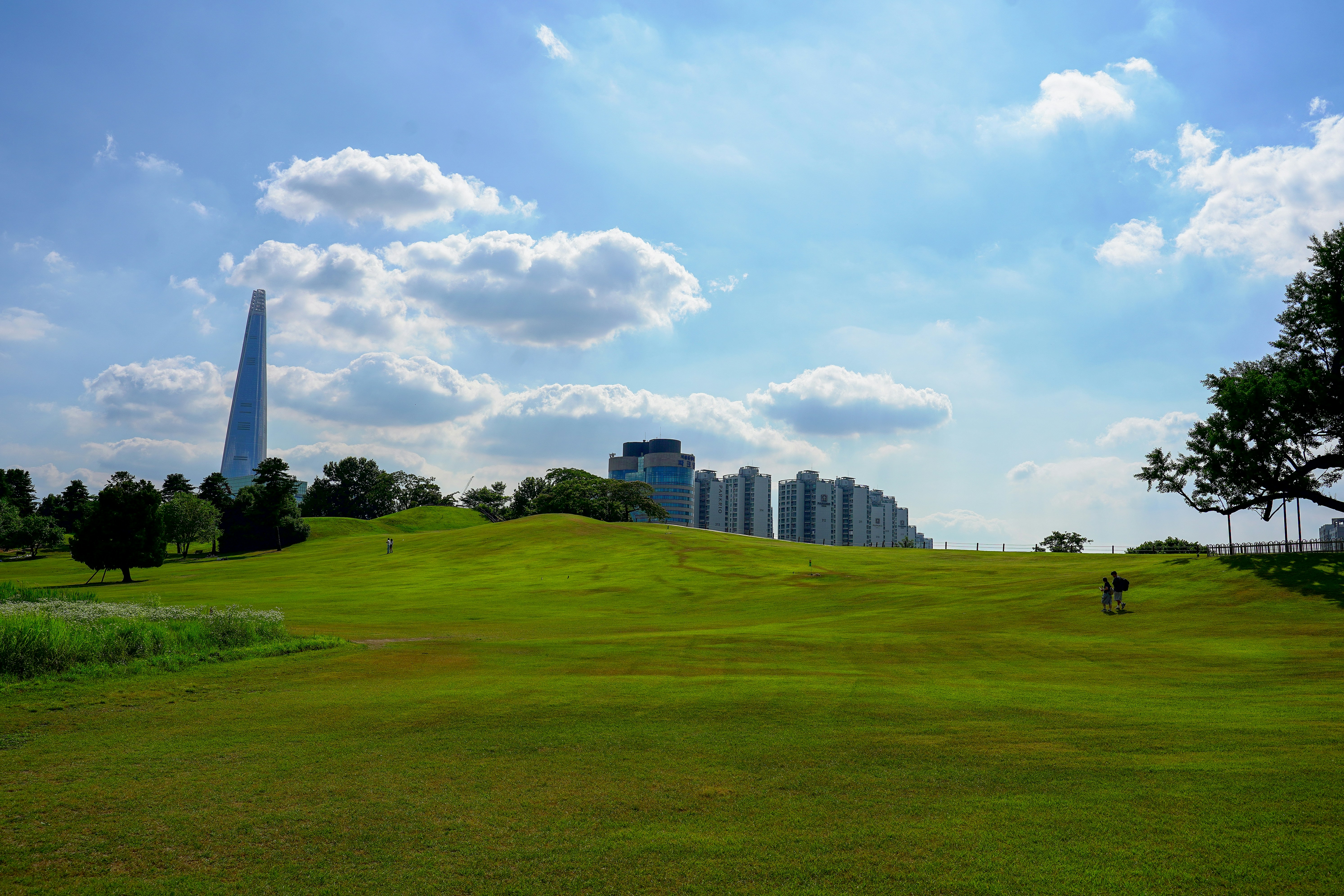 Urban Needle on the Horizon: Green Hills Meet the City Skyline