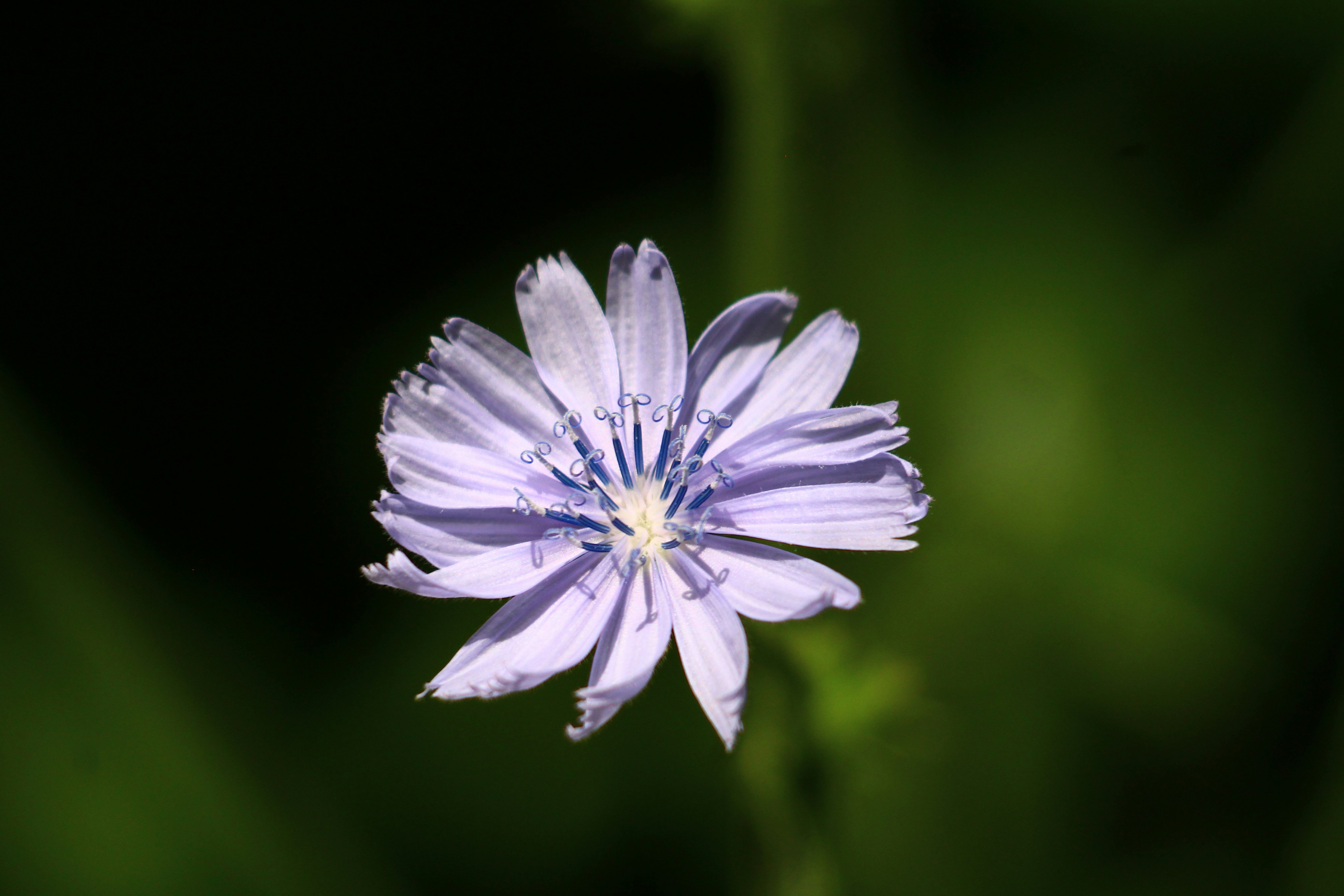 Photo by Seval Torun with Canon EOS 4000D