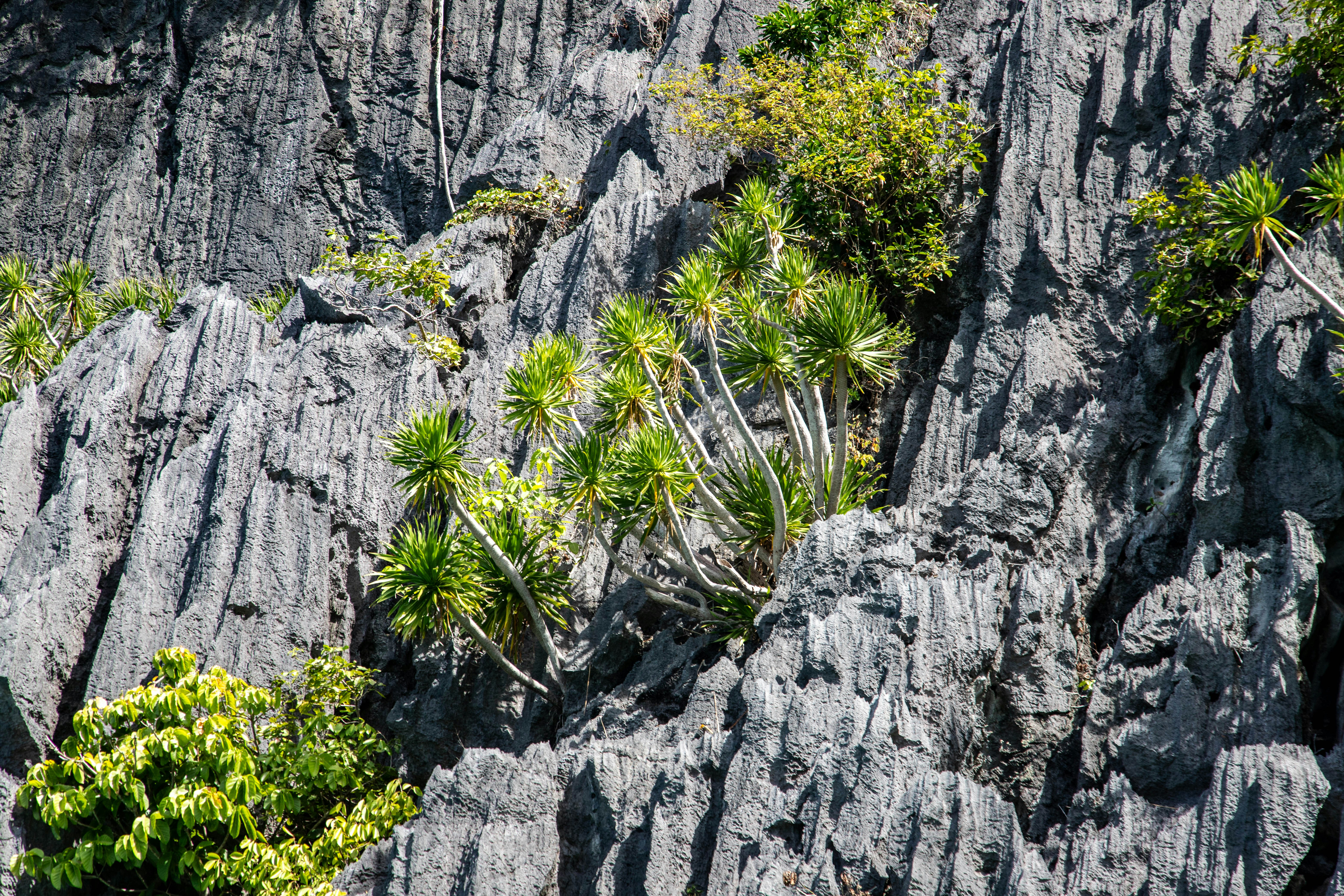 Photo by Bernd 📷 Dittrich with Canon EOS 6D Mark II