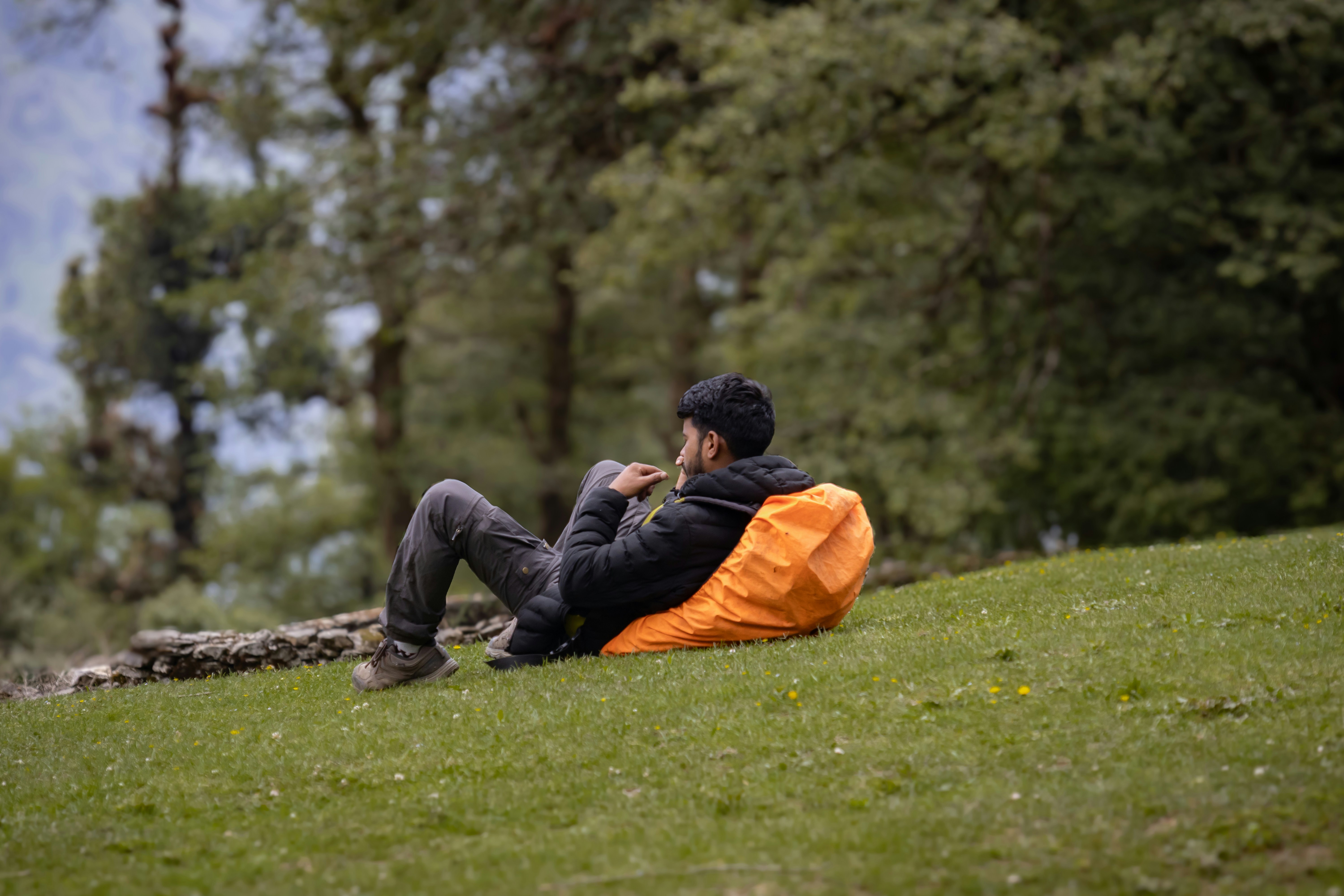 Orange Ember on a Forest Slope: Quiet Pause Amid Pines