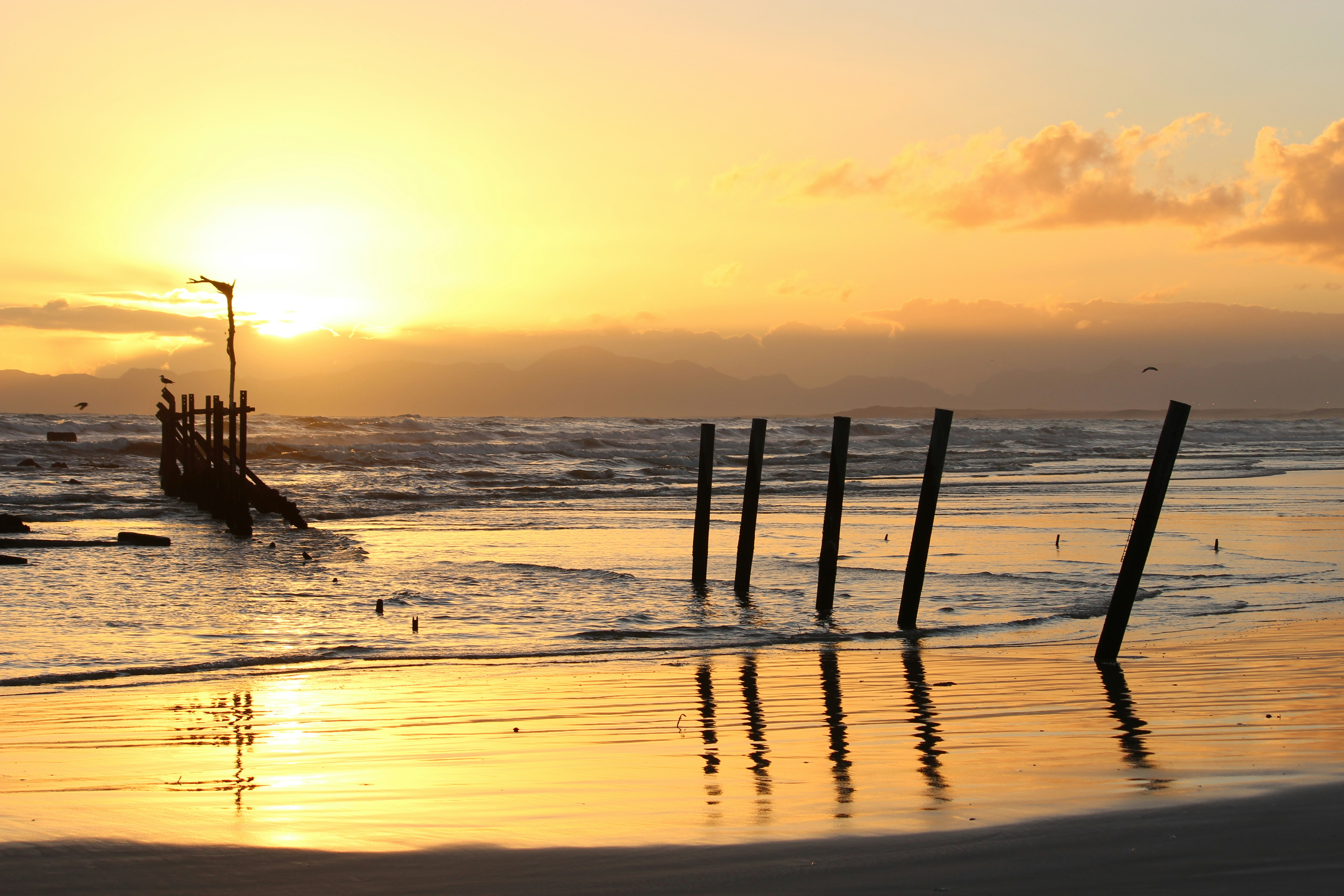 Photo by Chantelle Matthee with Canon EOS 600D