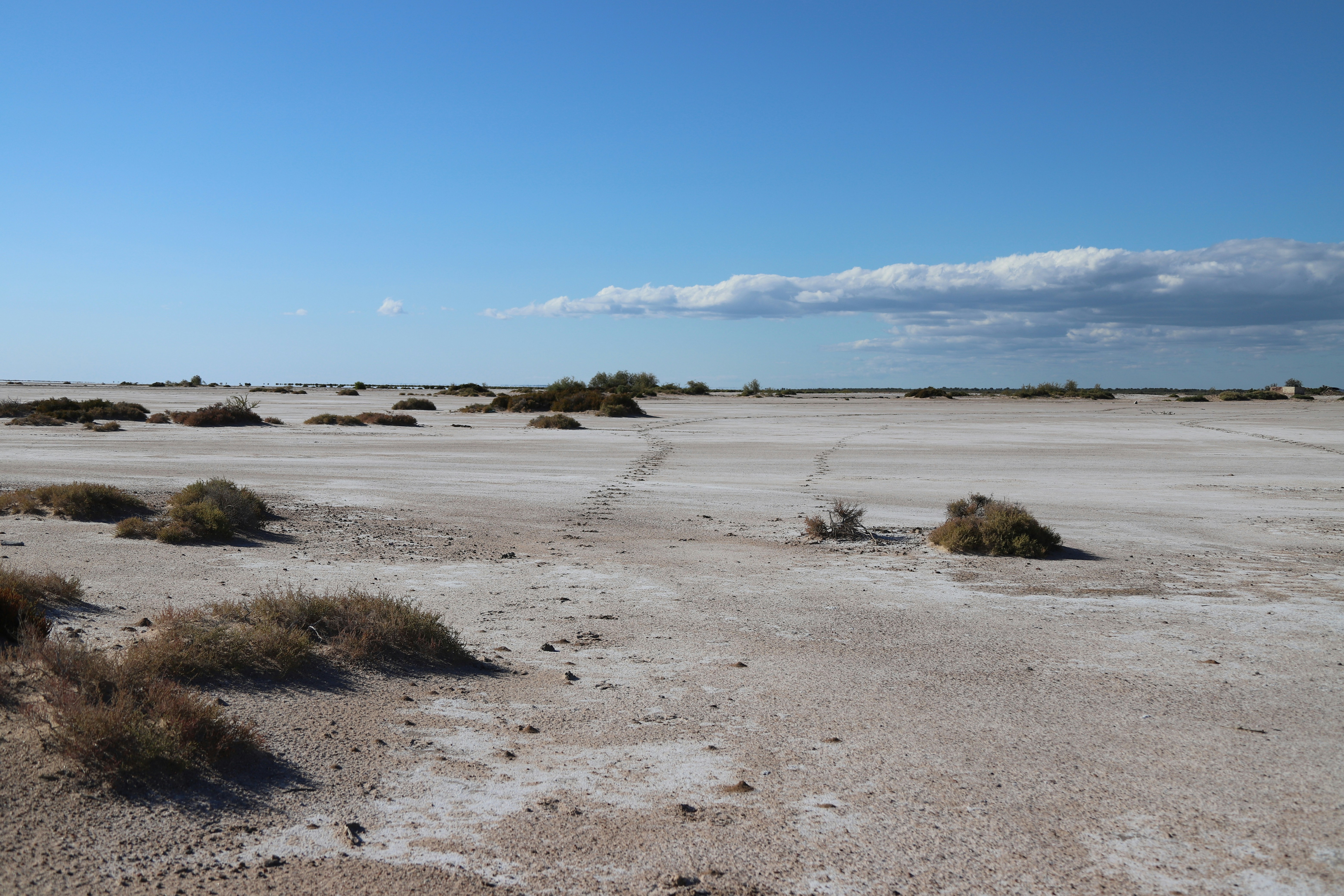 A dry, barren landscape stretches under a blue sky.