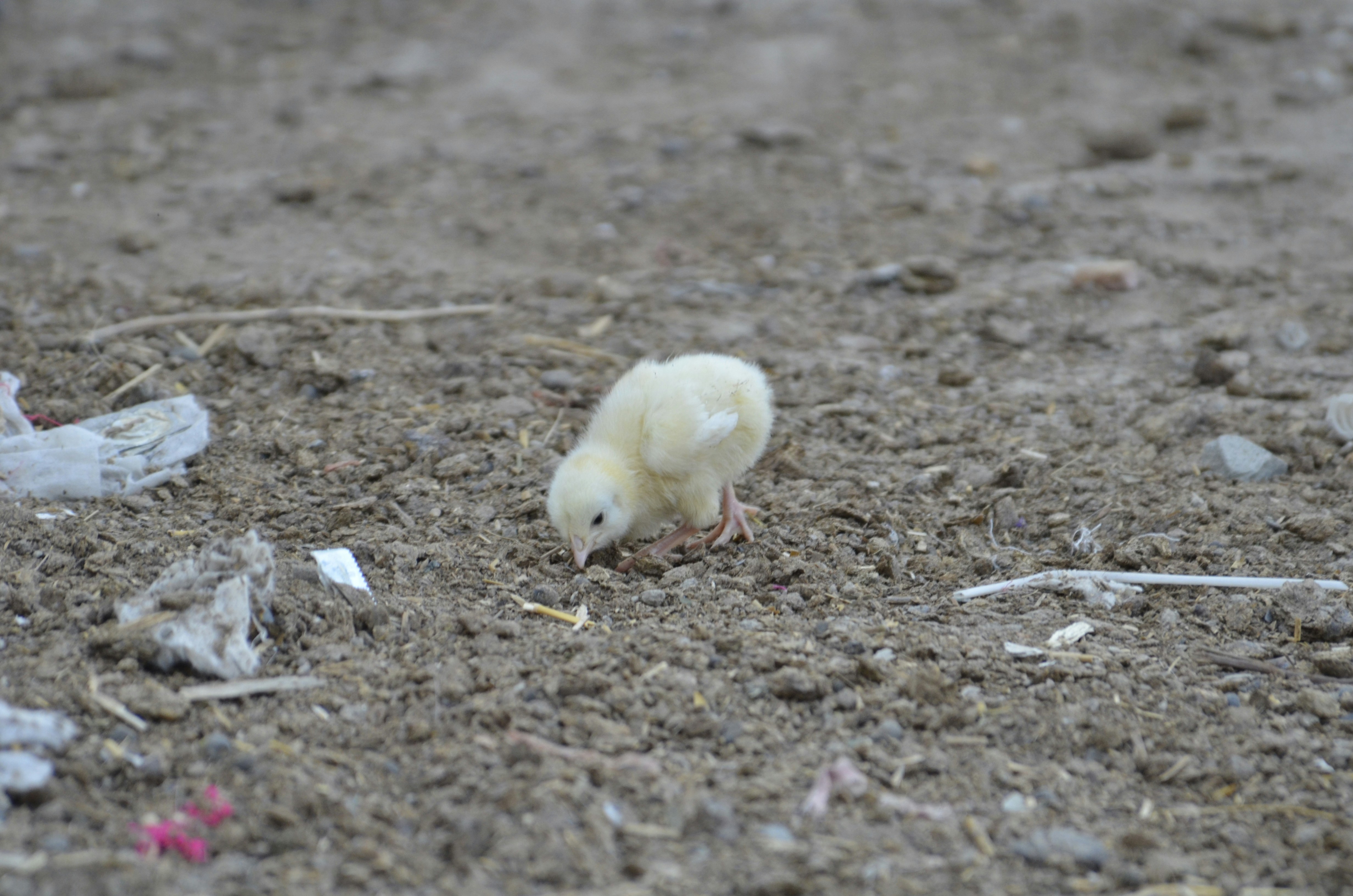 Abdul Basit Khalid (@exploring_world002) | Komunitas Foto Unsplash