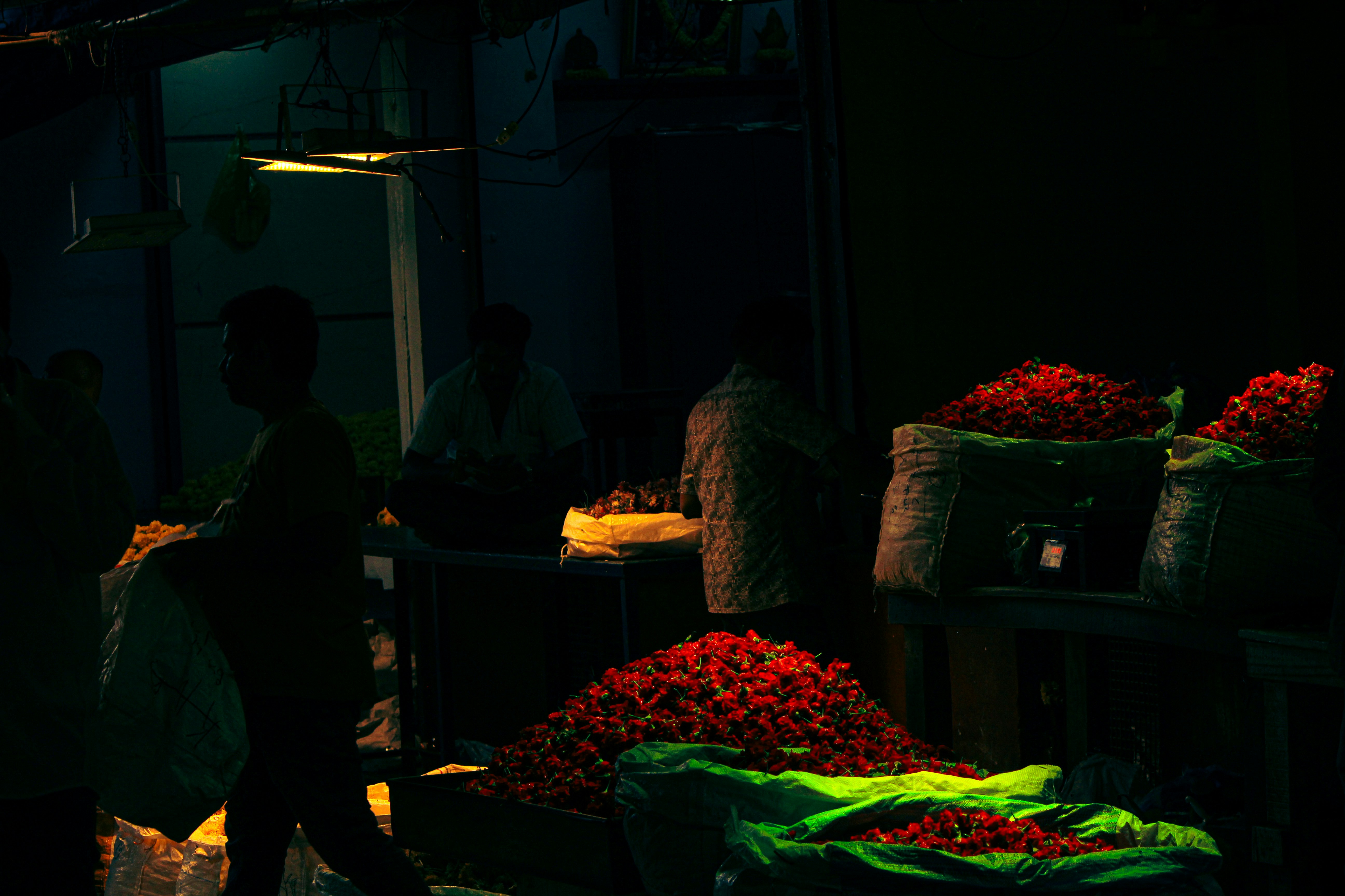 Photo by Nikhil Manne with Canon EOS 1200D