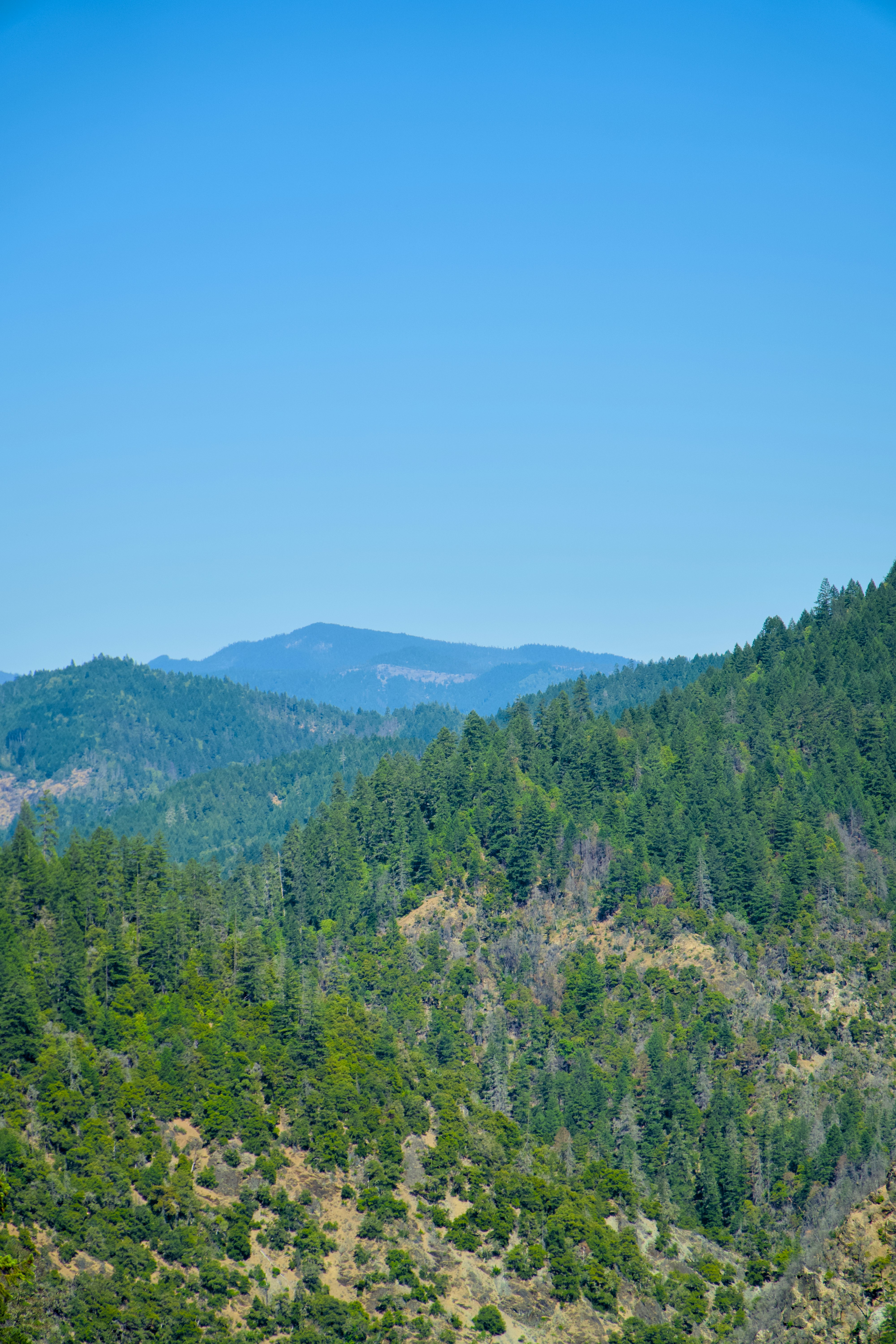 Lush green hills stretch beneath a vibrant blue sky, showcasing the beauty of nature's landscape.