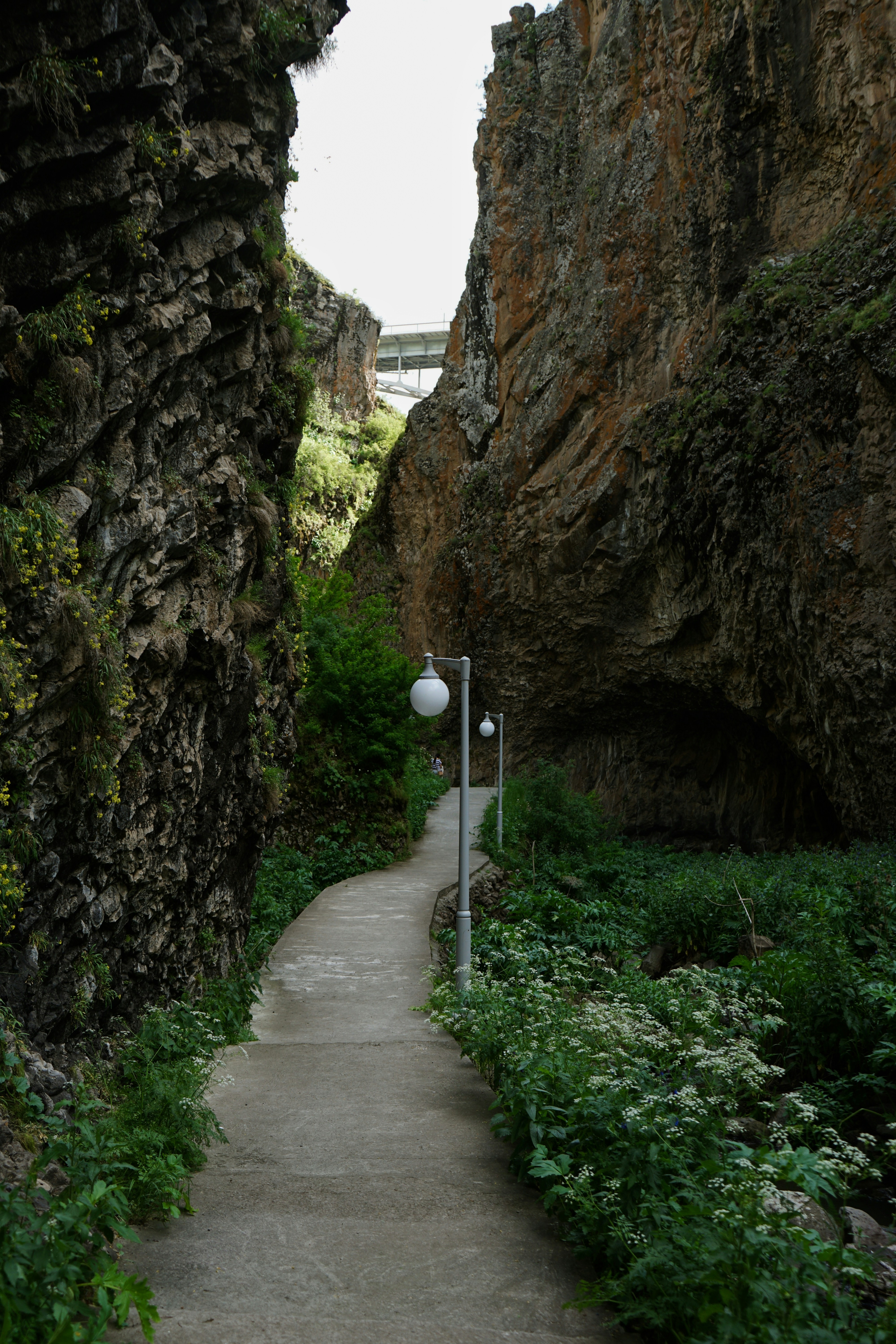 A pathway winds through a rocky gorge.