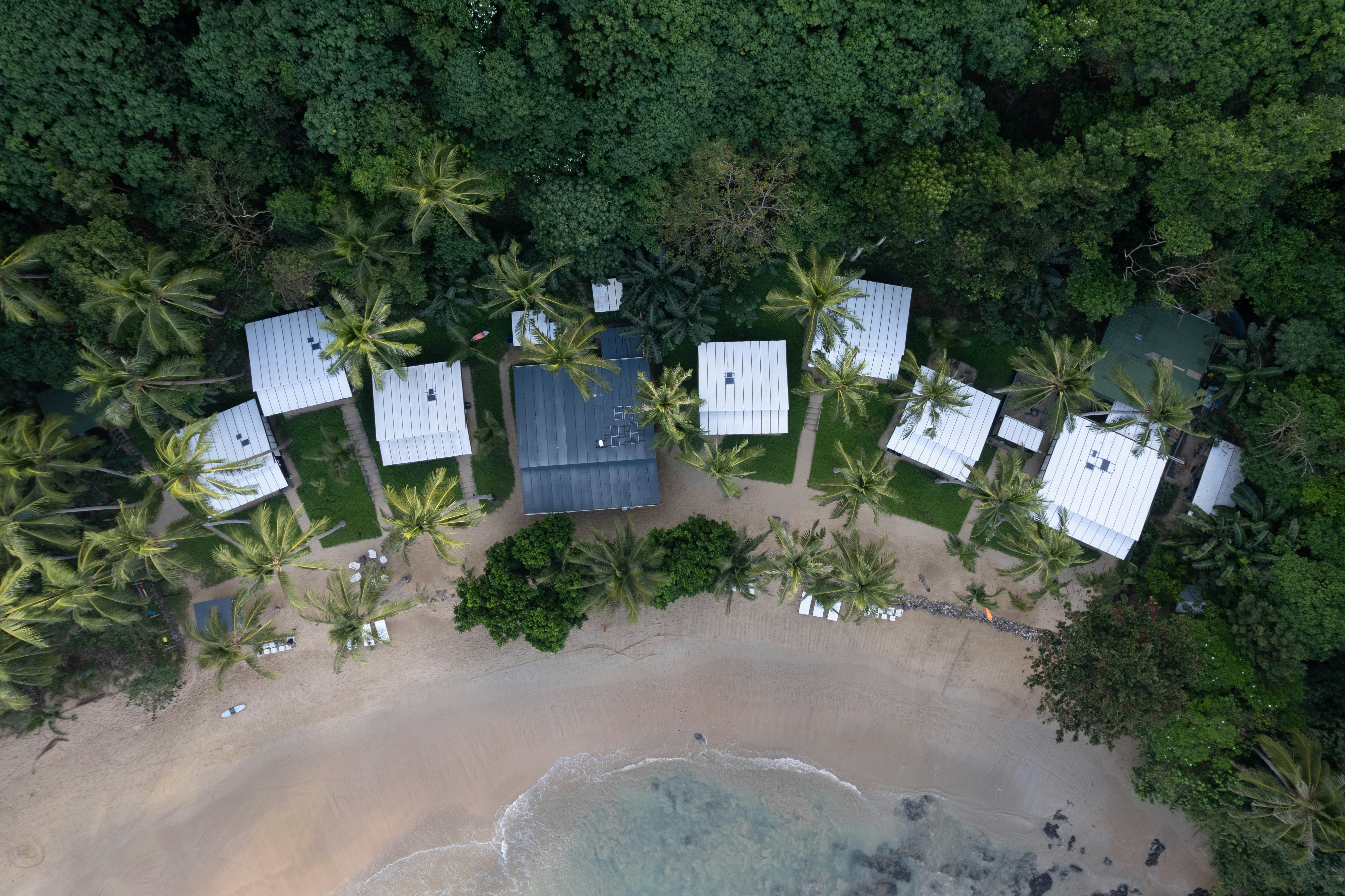 Coastal Cabins Nestled Along a Palm-Fringed Shore
