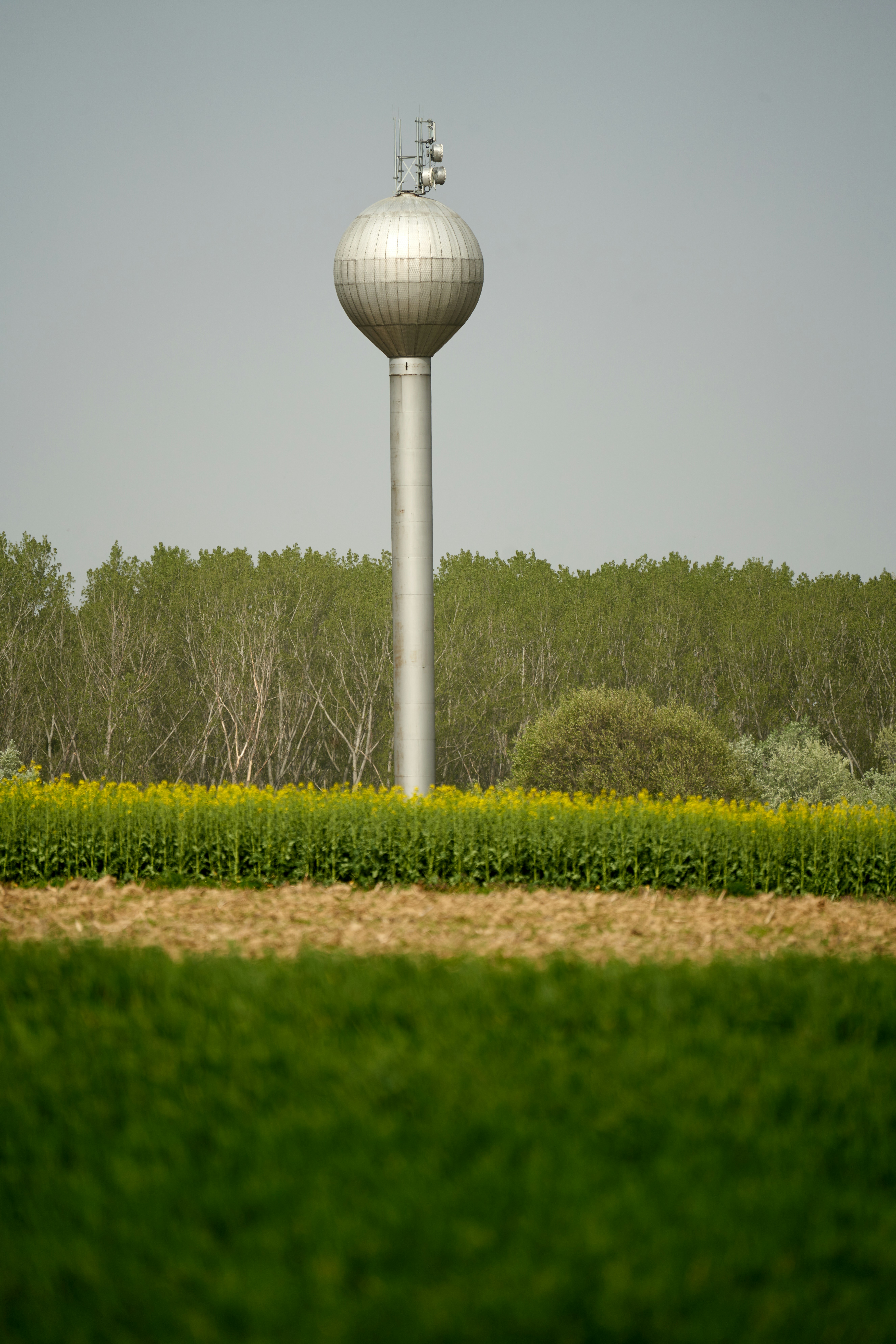 Sphere-Topped Sentinel: A Water Tower Rising Over a Farmlandscape