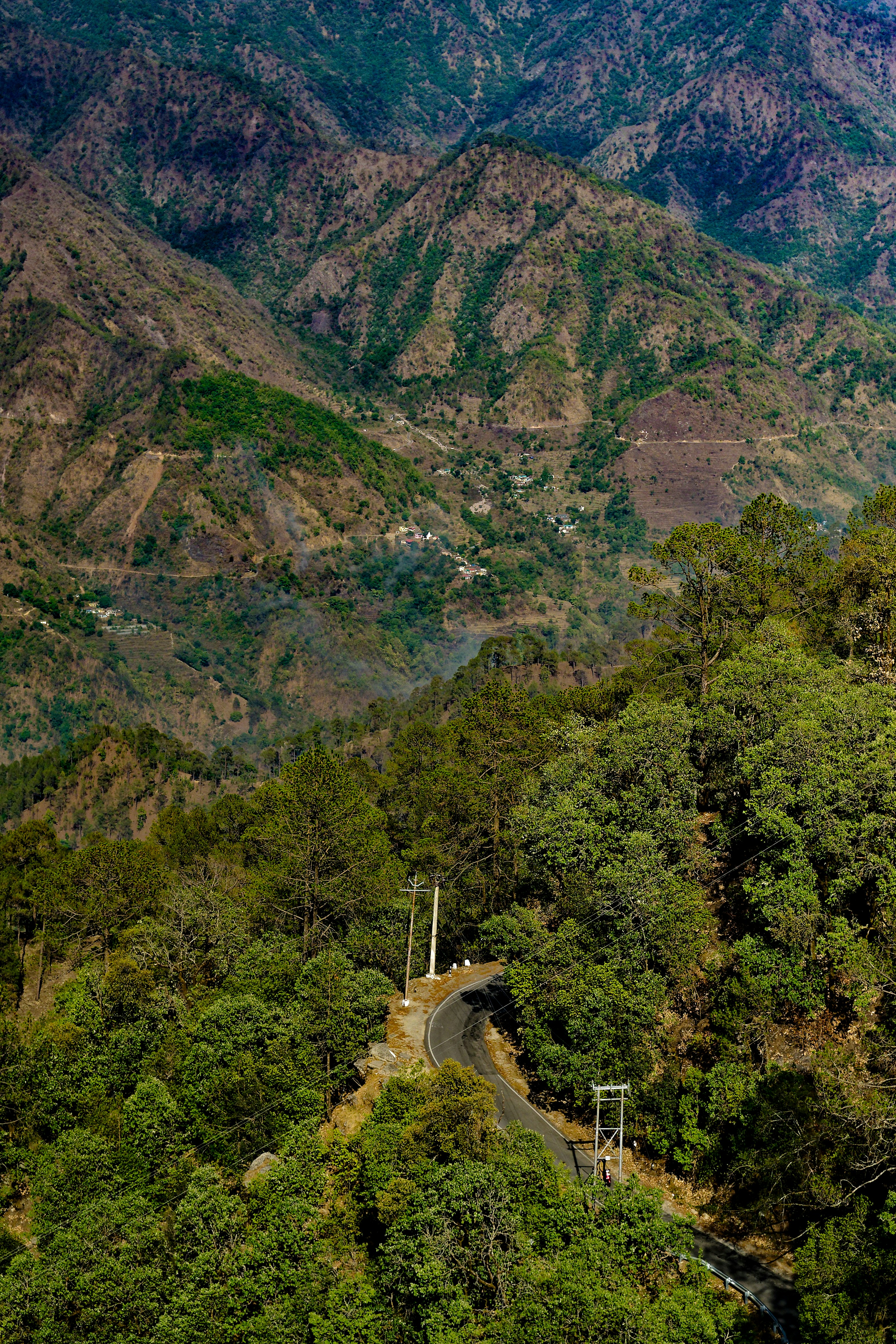Curved road meandering through lush greenery and rugged mountains under a clear sky.