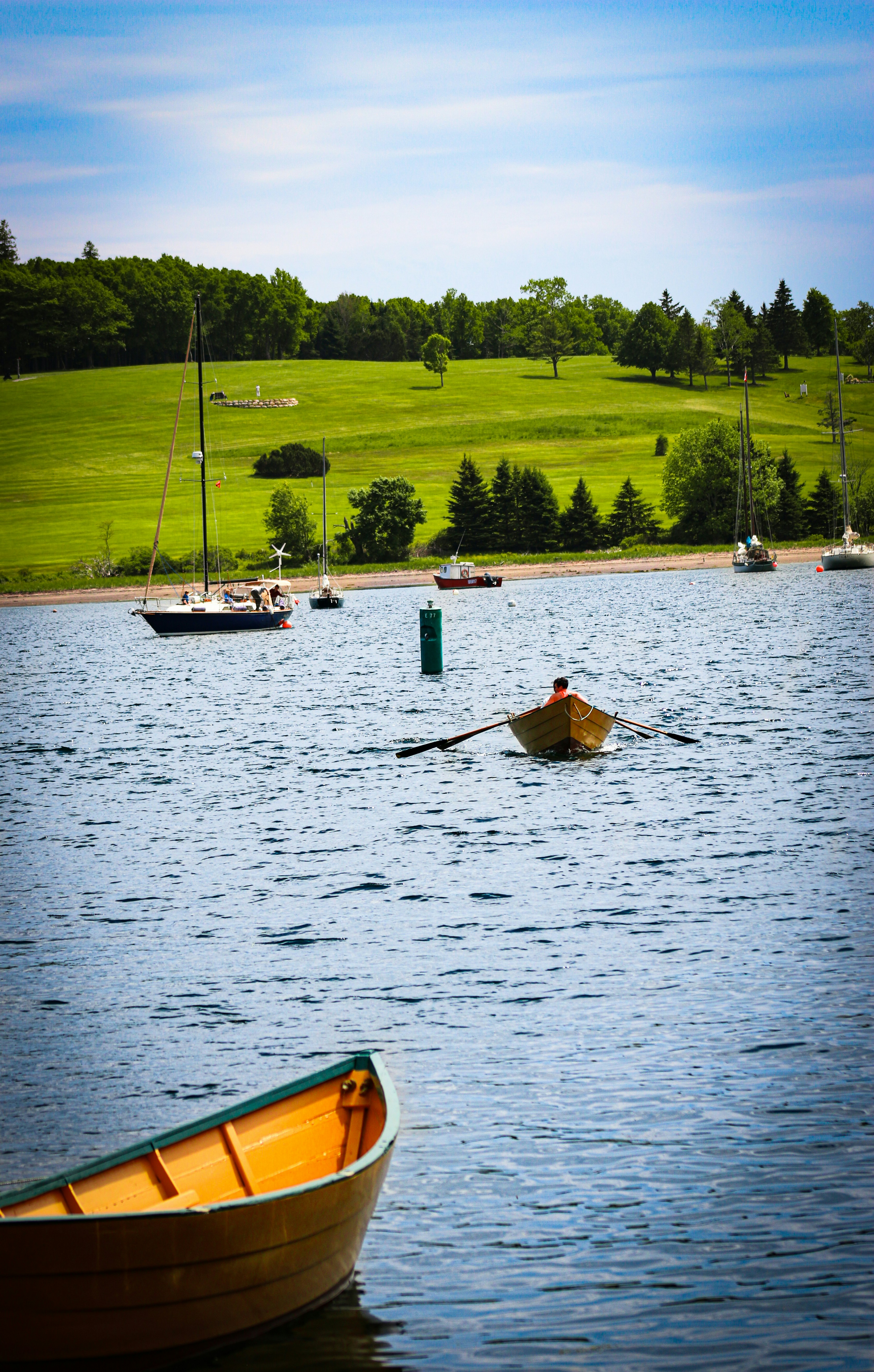 Rowing Through Serenity: A Day on the Water