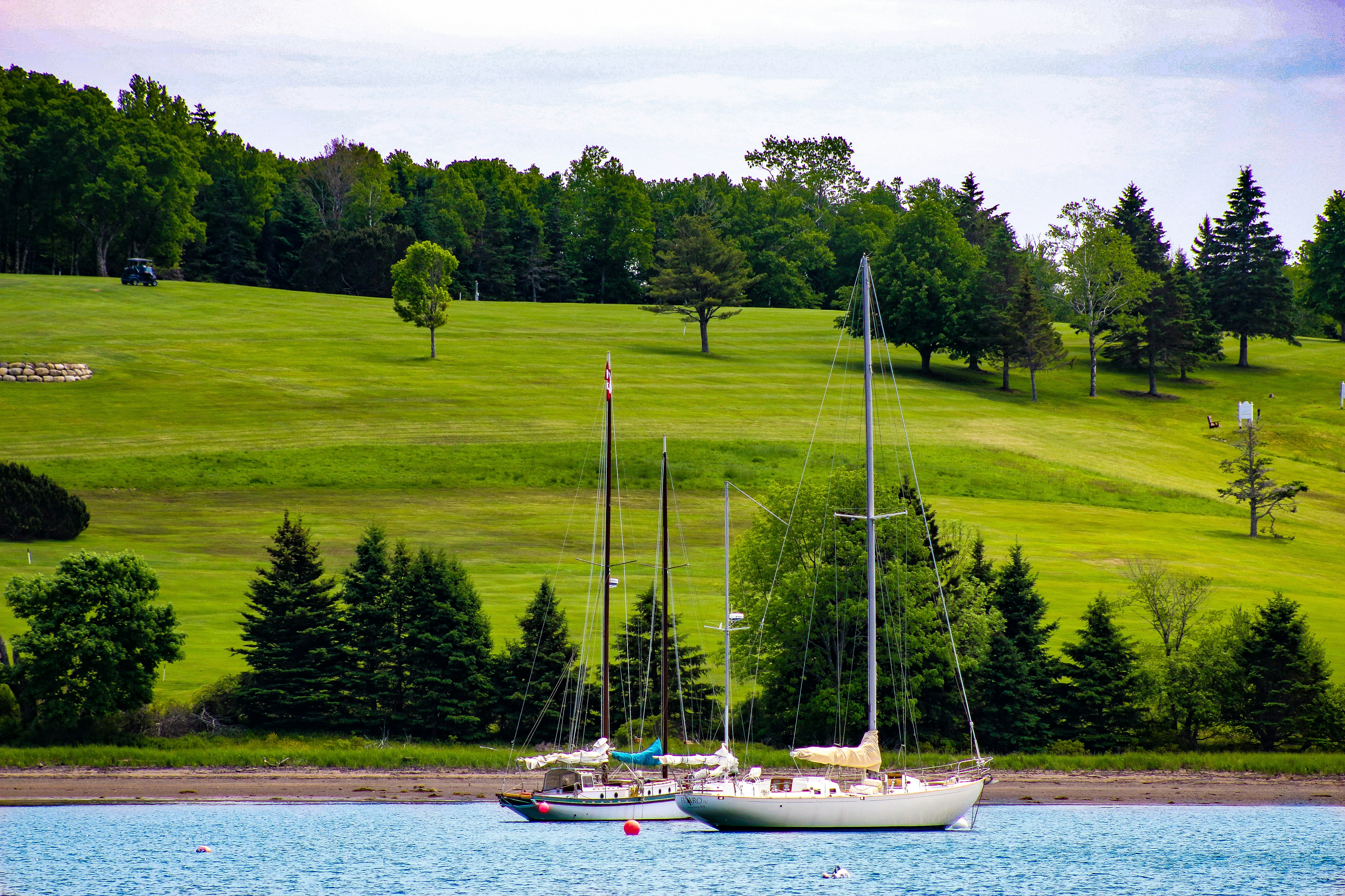 Sails at the Emerald Shoreline: Boats Quietly Tucked by a Green Hillside