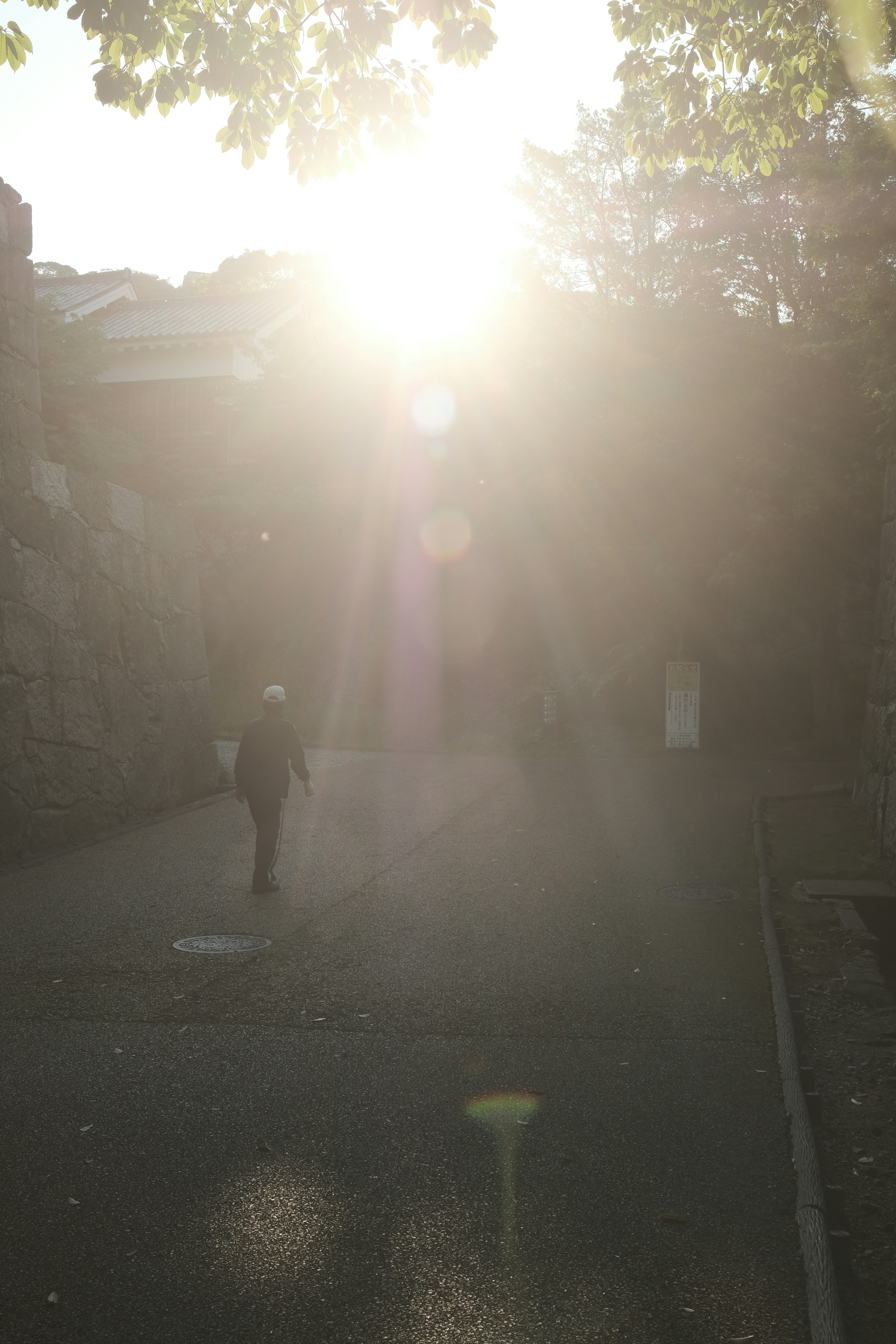 Journey Towards the Light