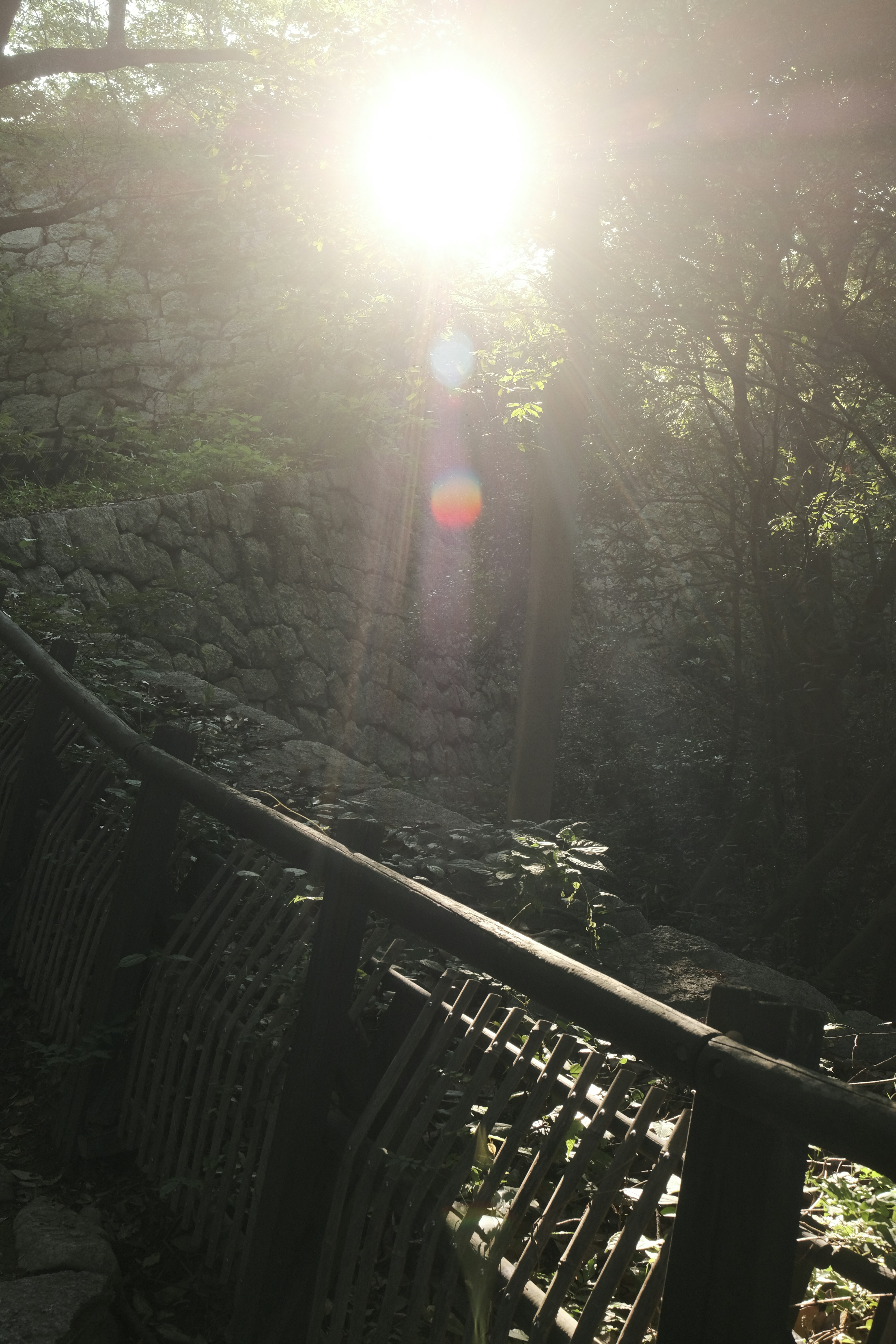 Sunflare on a Mossy Stone Railing in Dappled Forest Light