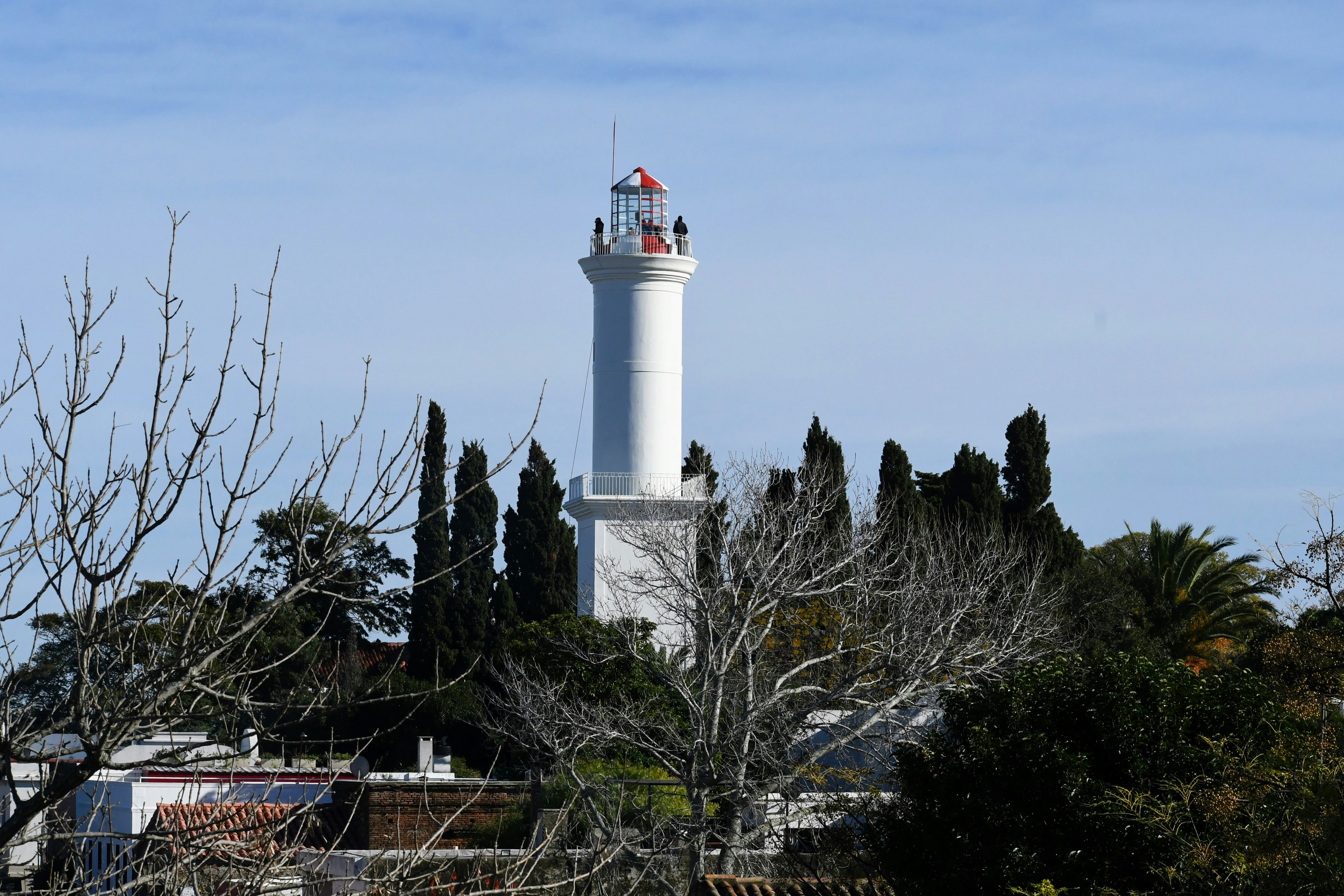Guiding Light: A Beacon Amongst Nature