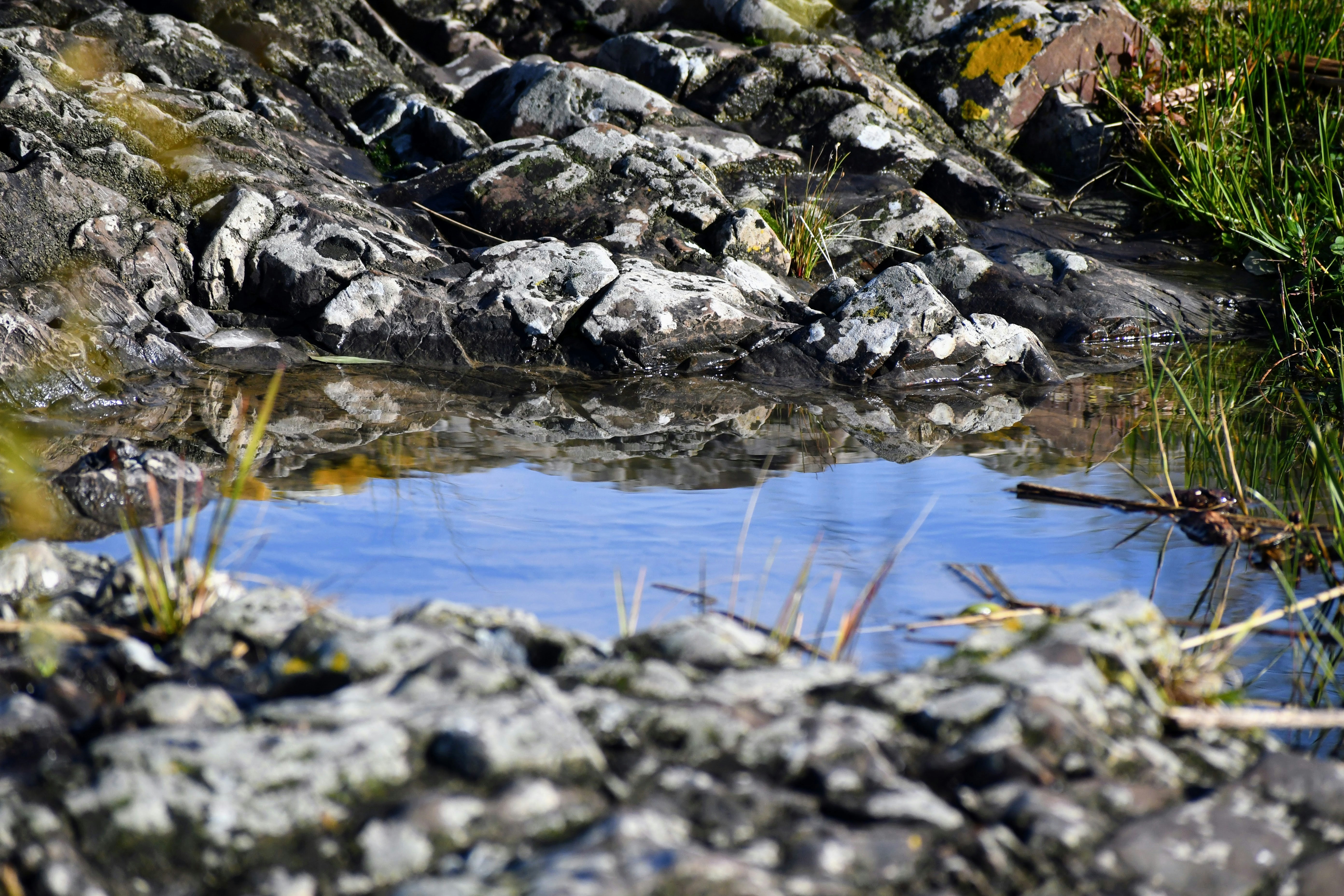 Azure Oasis Between Weathered Granite