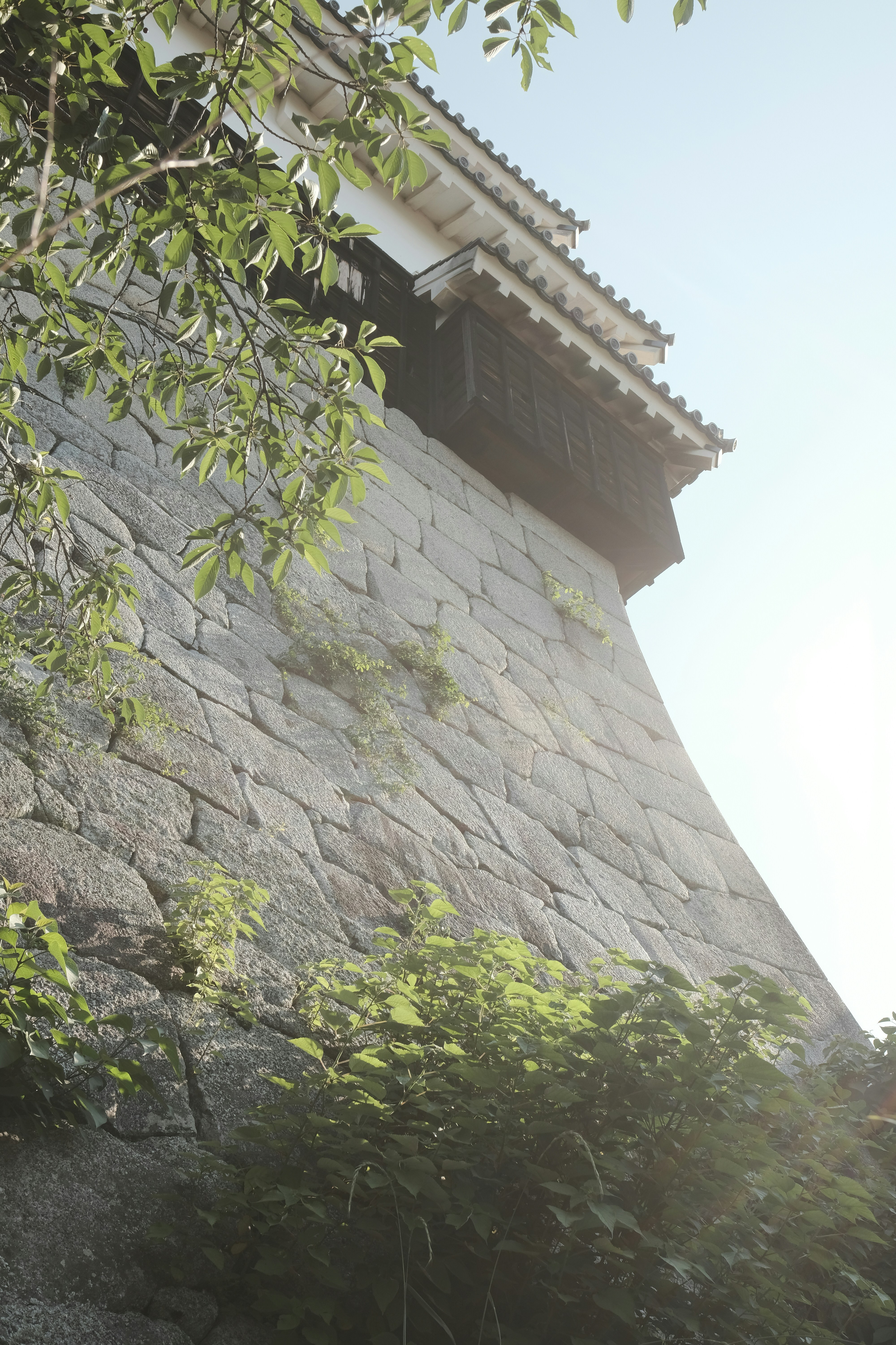 A stone castle wall reaches towards the sun. photo – Free Building ...