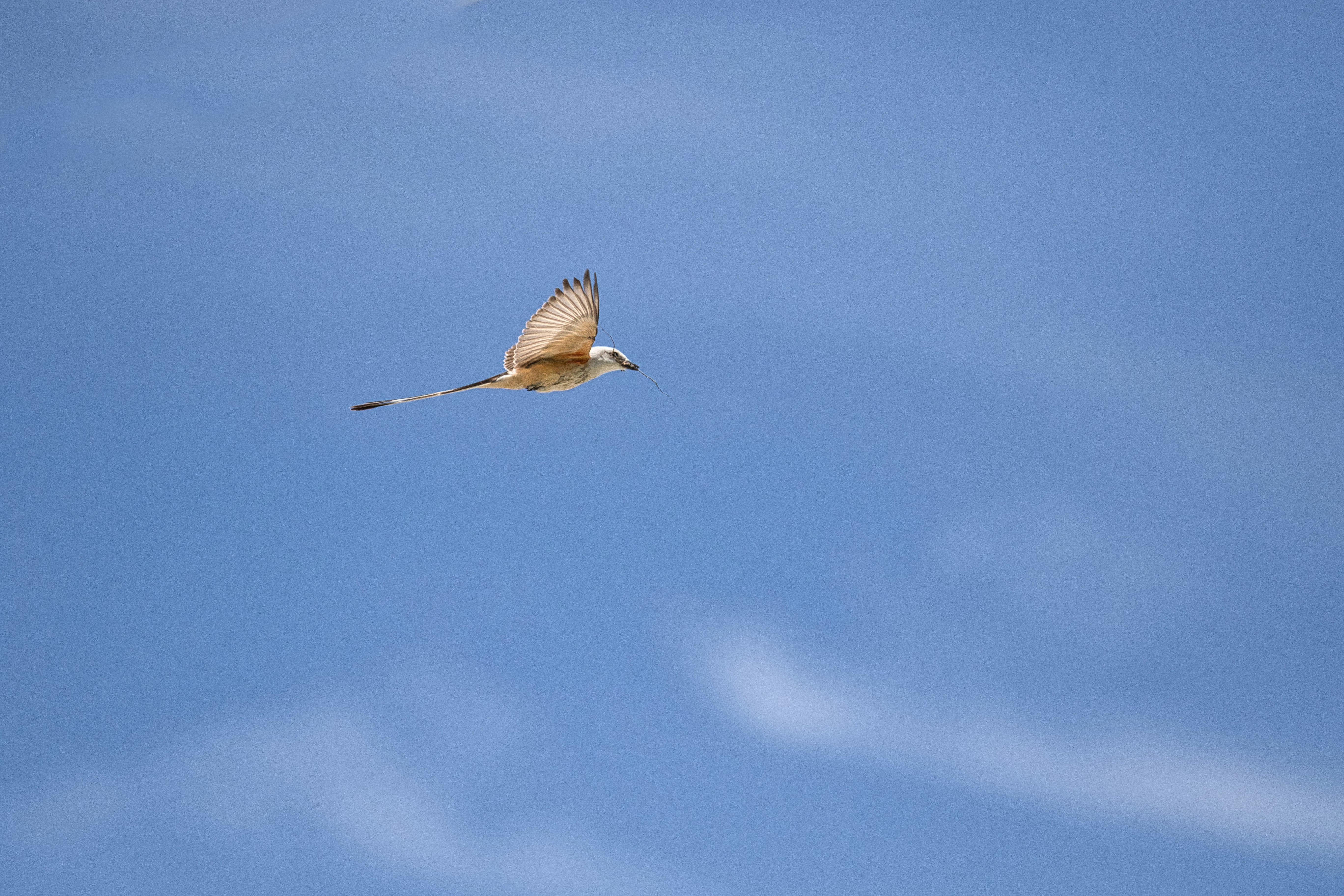 Photo by Chandler Cruttenden with Canon EOS 7D Mark II