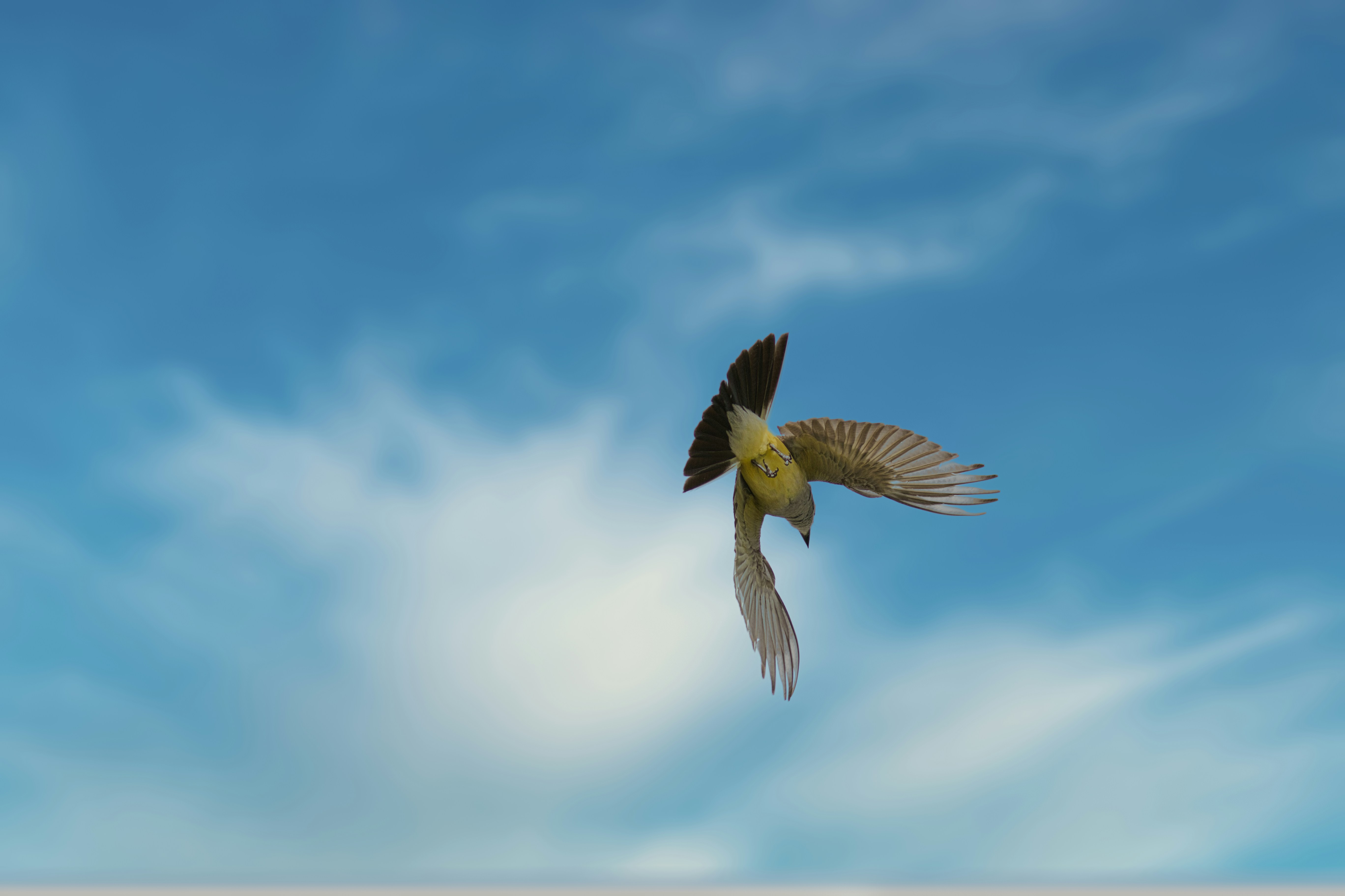 Wingbeat in a Cerulean Sky: A Yellow Bird in Free Flight