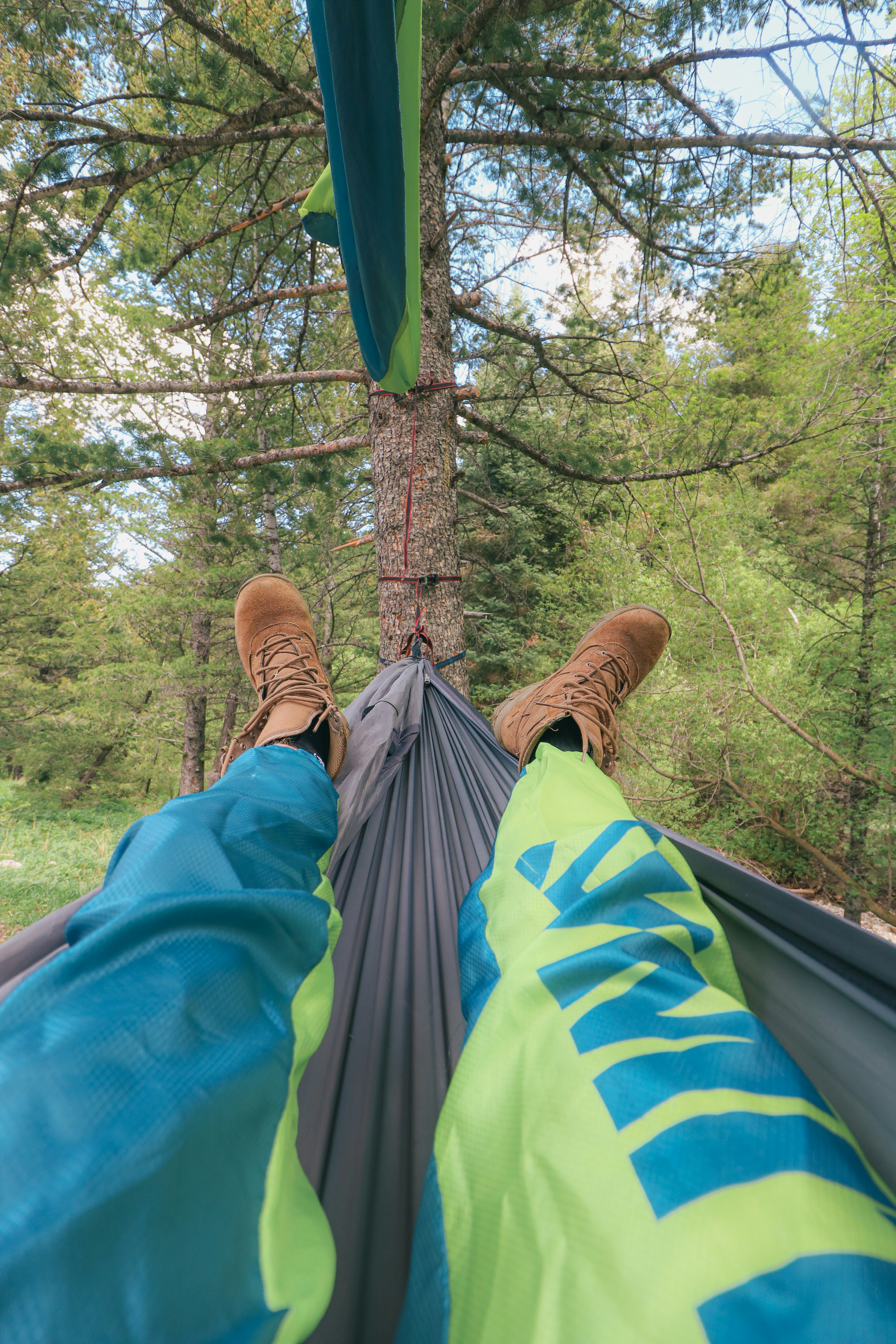 Relaxing in a hammock amidst the trees.