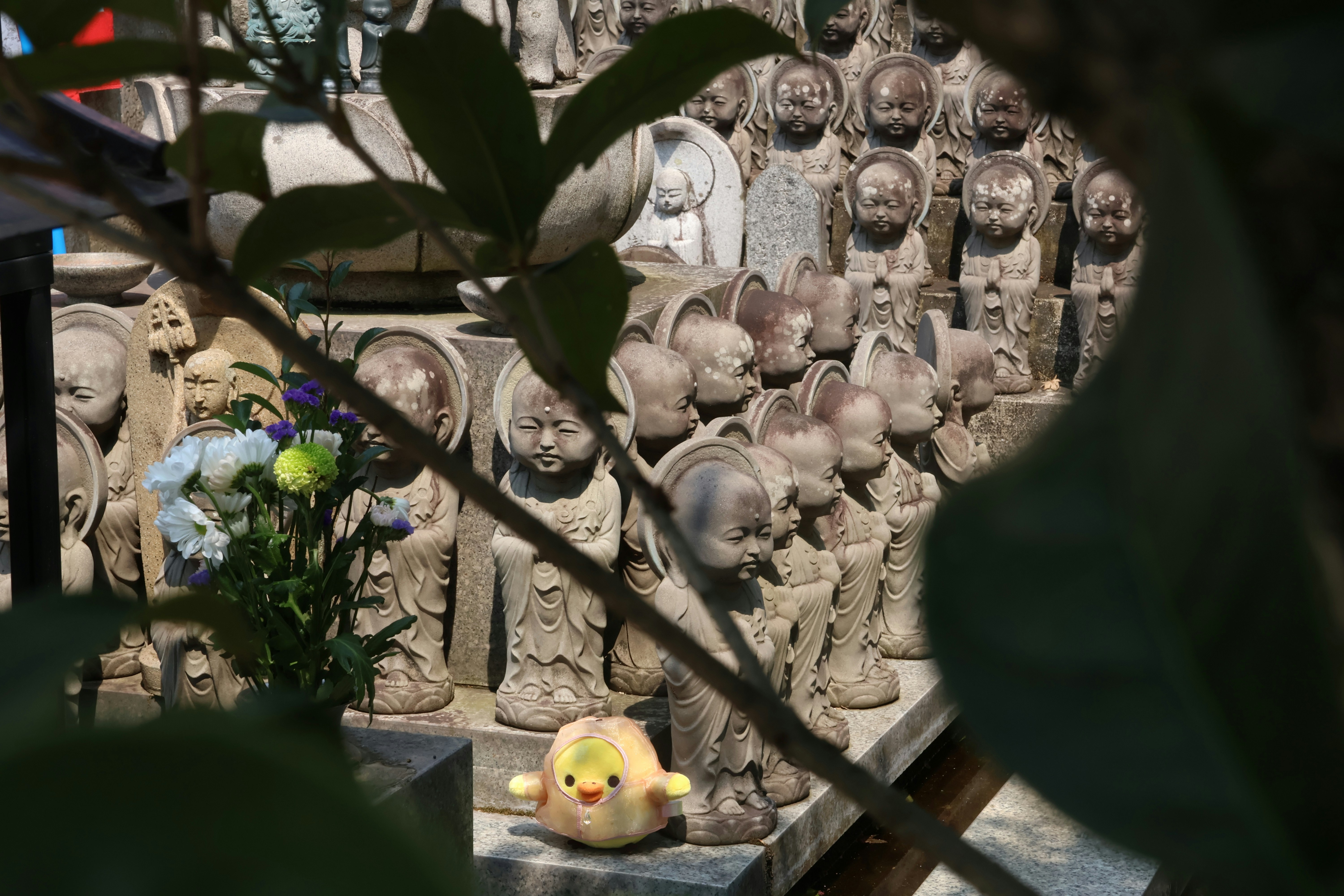 Tiny Yellow Chick Among Quiet Rows of Stone Buddhas