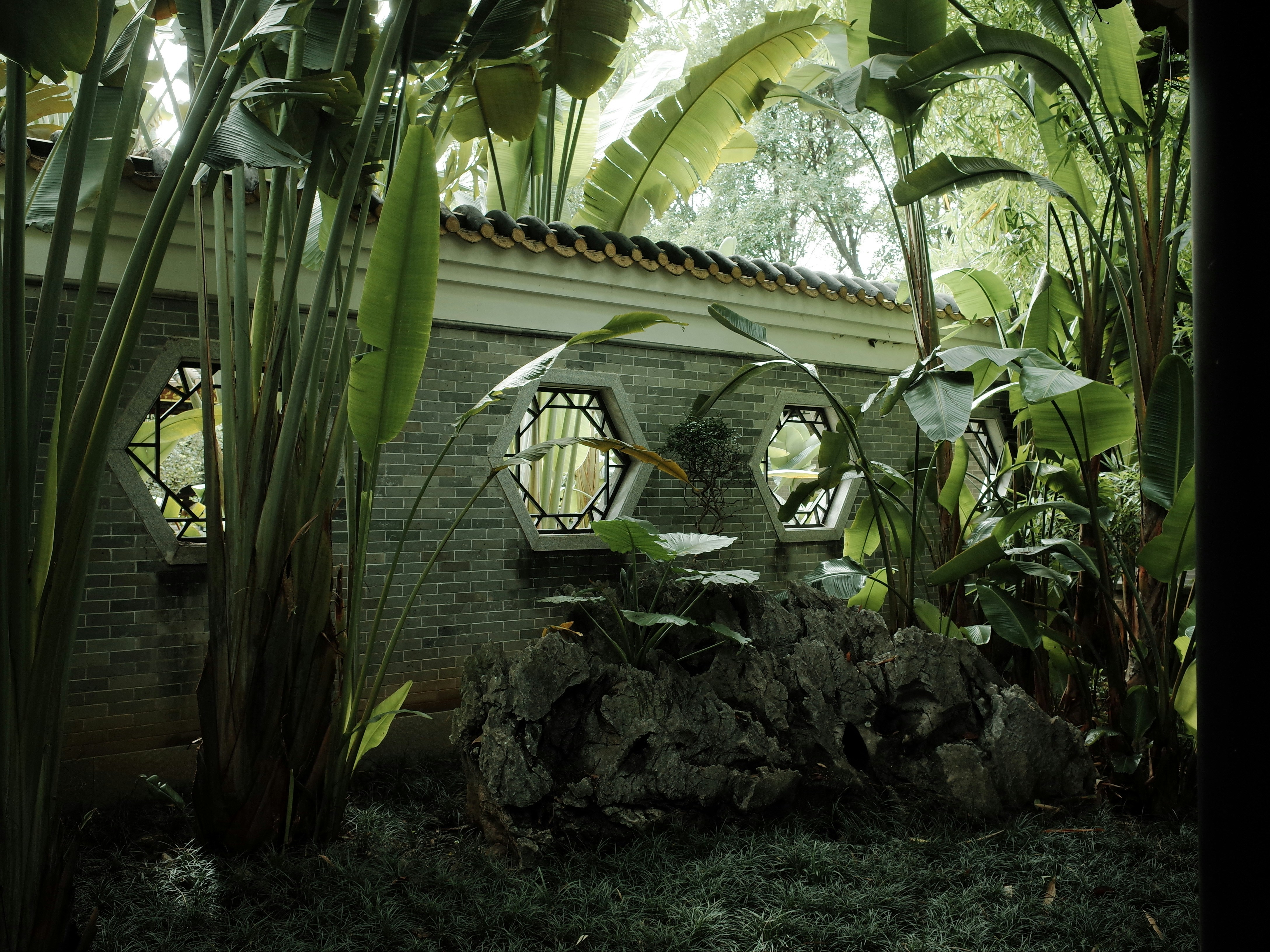 A photograph of a brick wall with two circular openings framed by lush tropical plants, creating a tranquil courtyard scene.