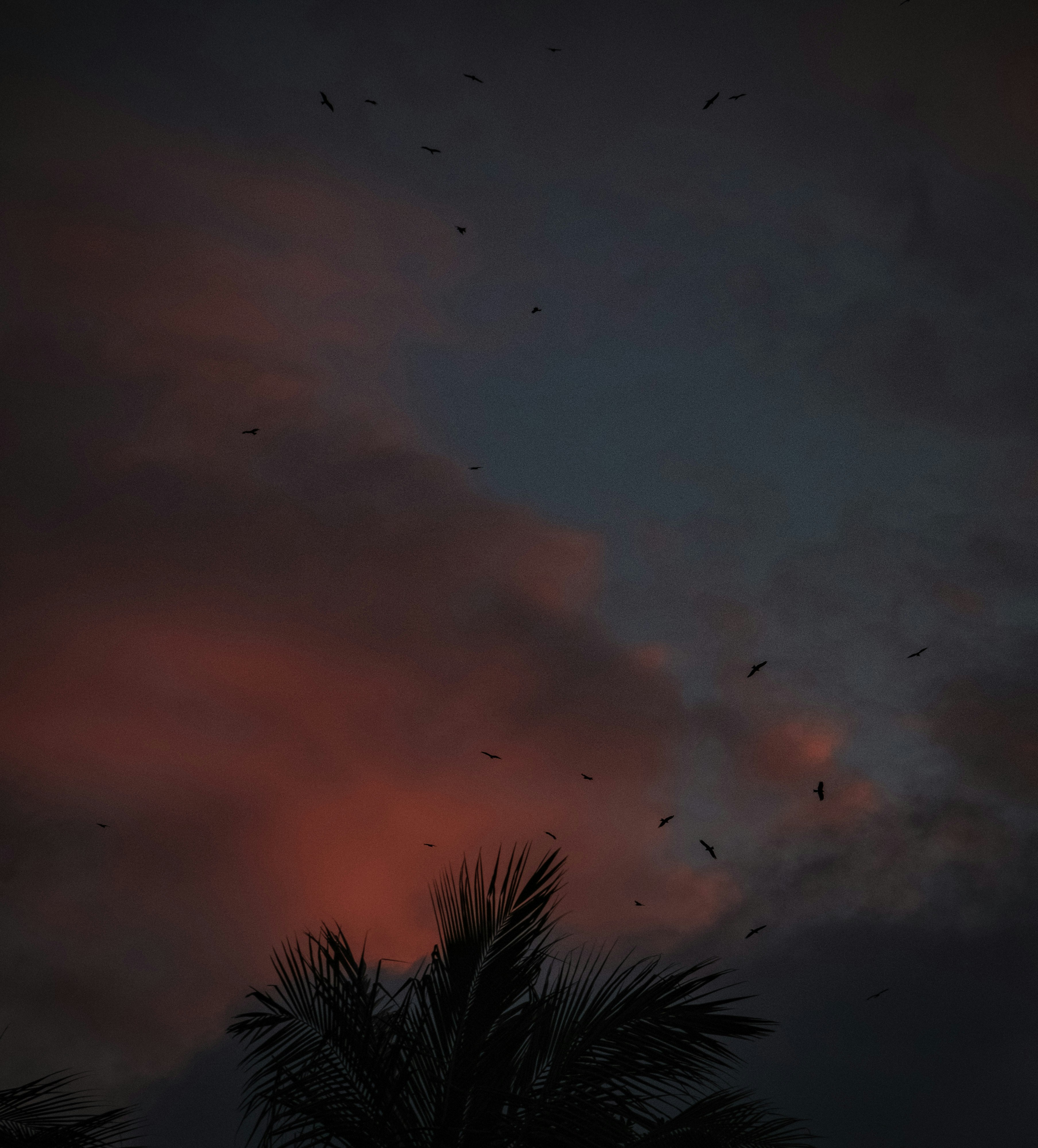 Twilight Whispers: Nature's Canvas