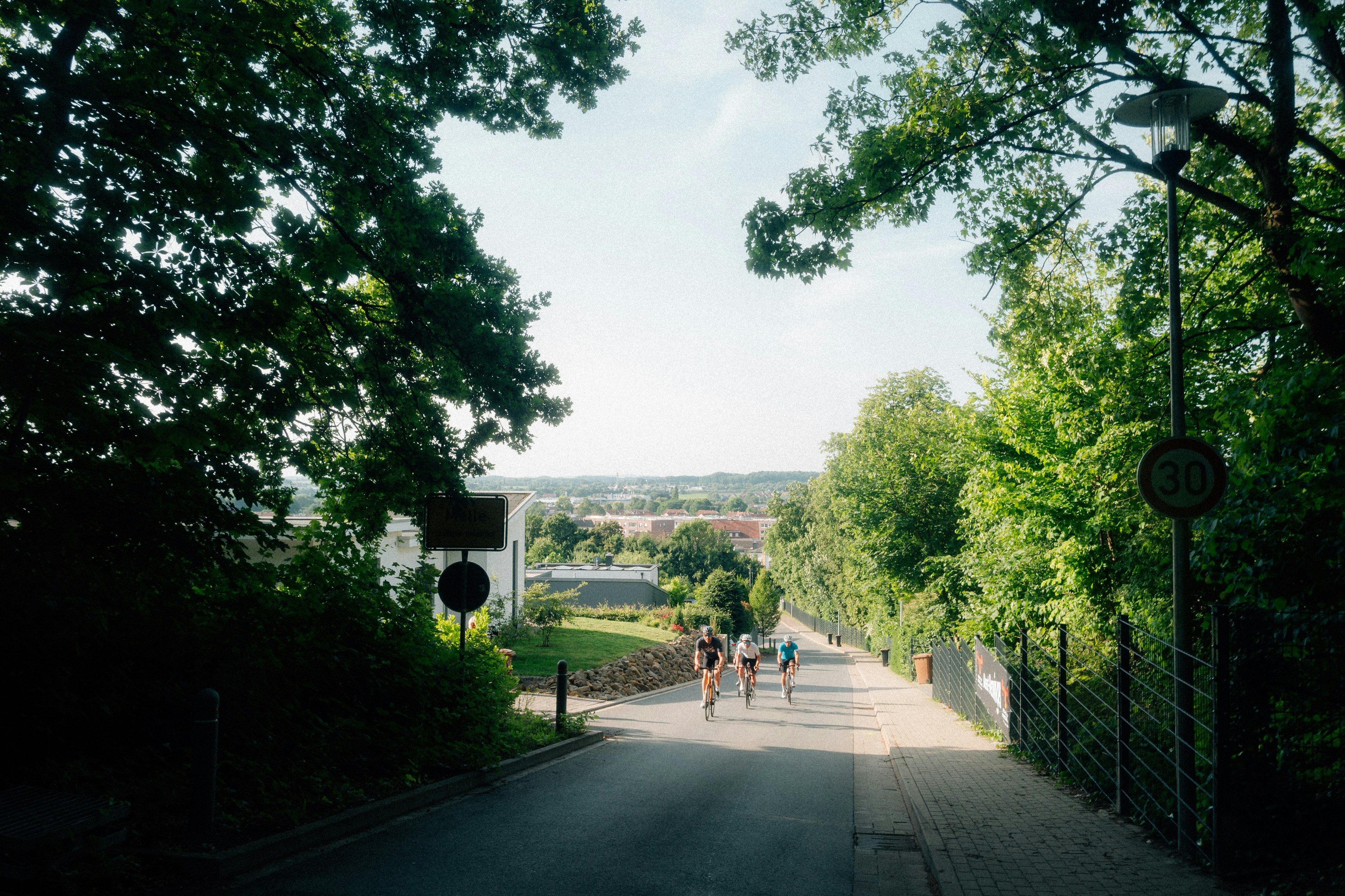 Sunlit Ascent: Pedestrians on a Tree-Framed Hill Climb