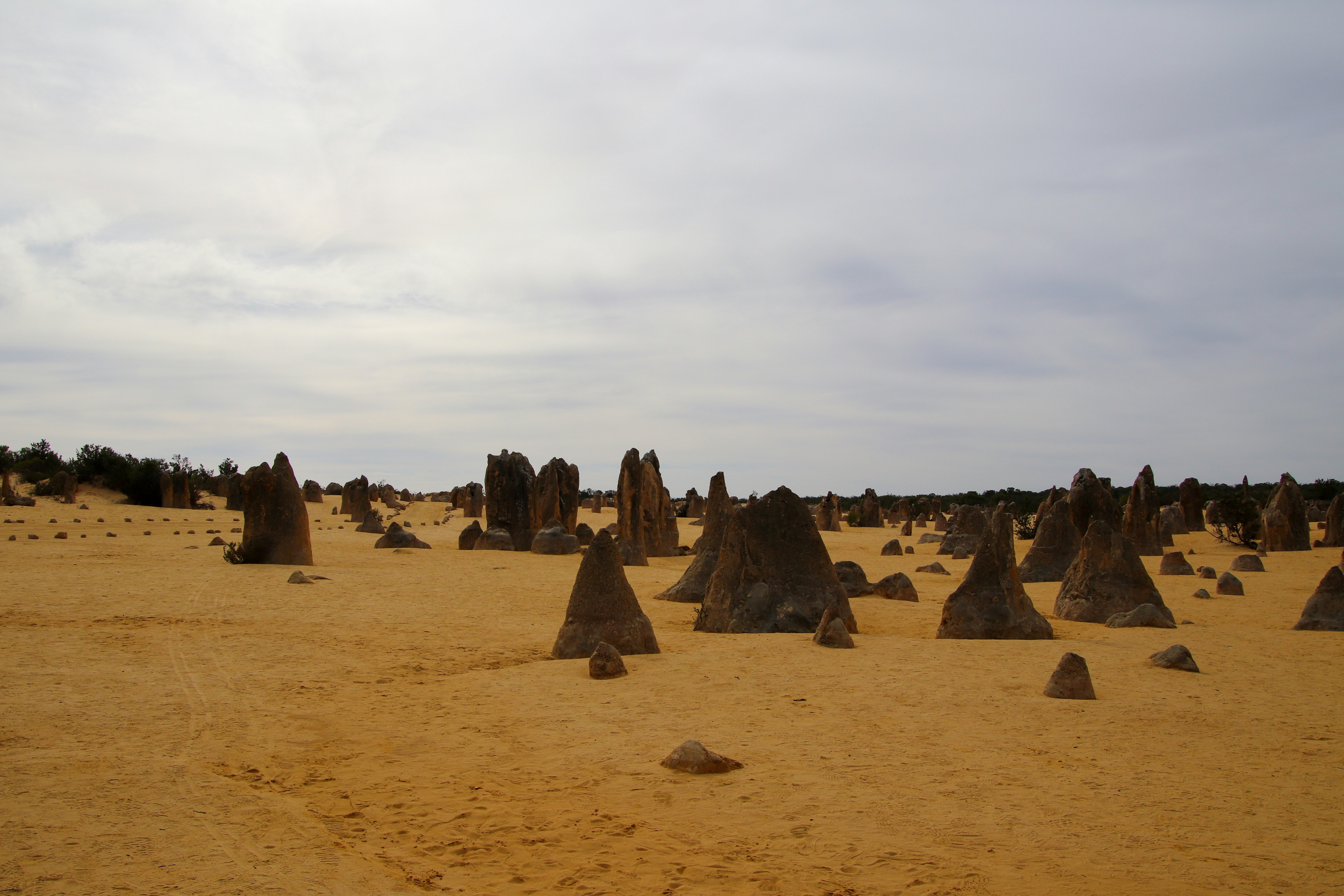 Whispers of Time: The Pinnacles of Nature's Artistry