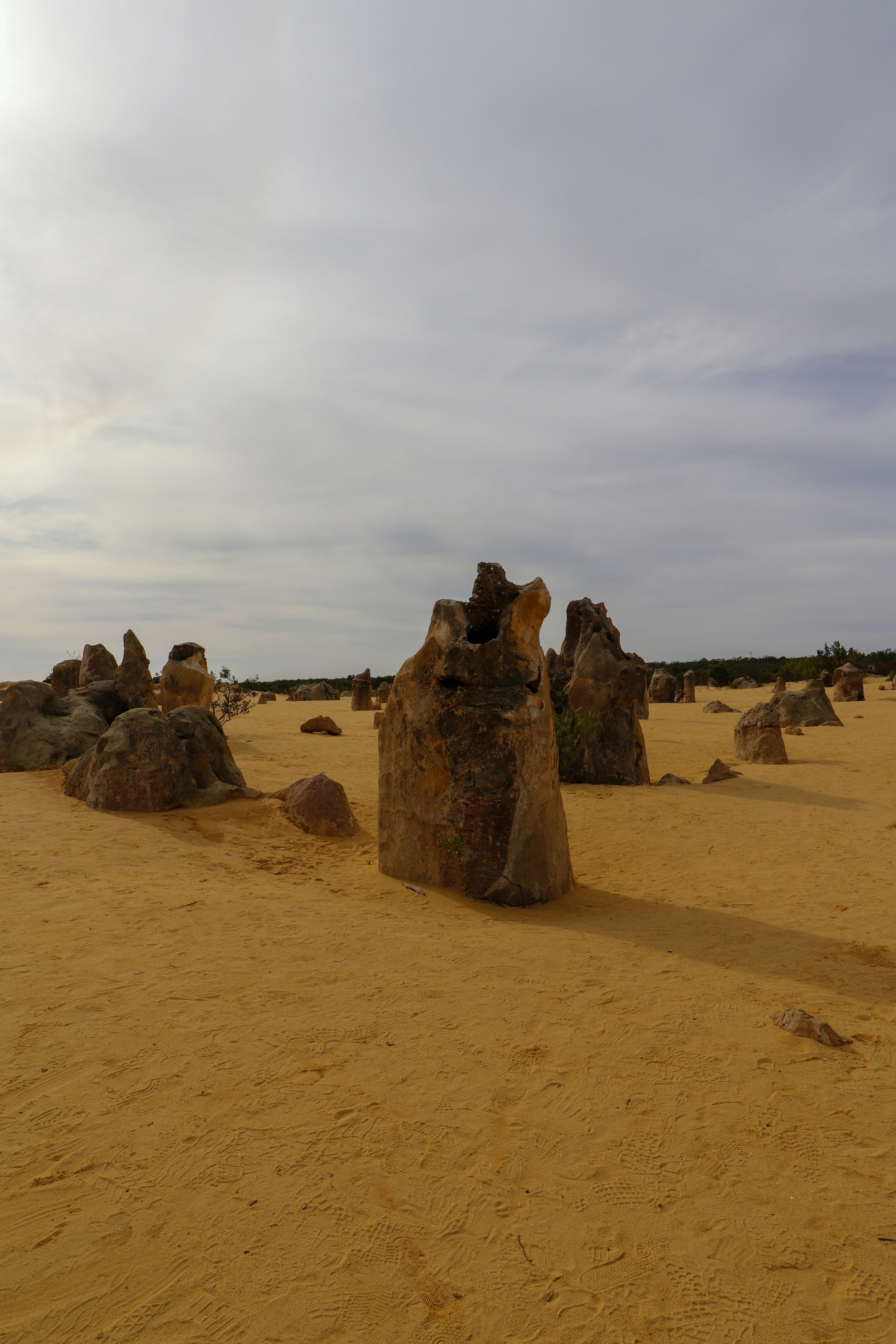Limestone Pinnacles Stand Guard Over Desert Sand