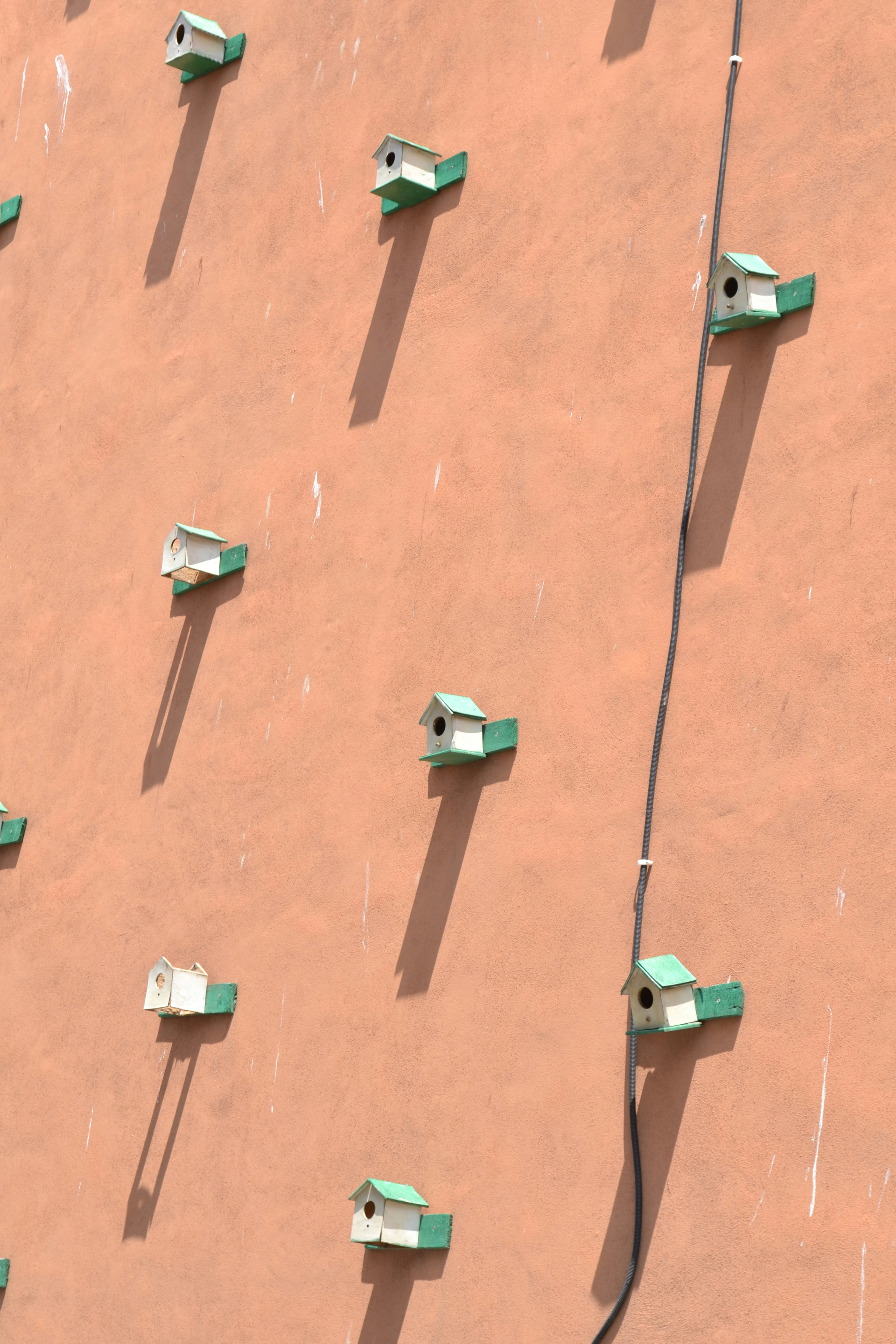 Colorful birdhouses affixed to a peach-colored wall, casting distinct shadows that enhance their playful arrangement.