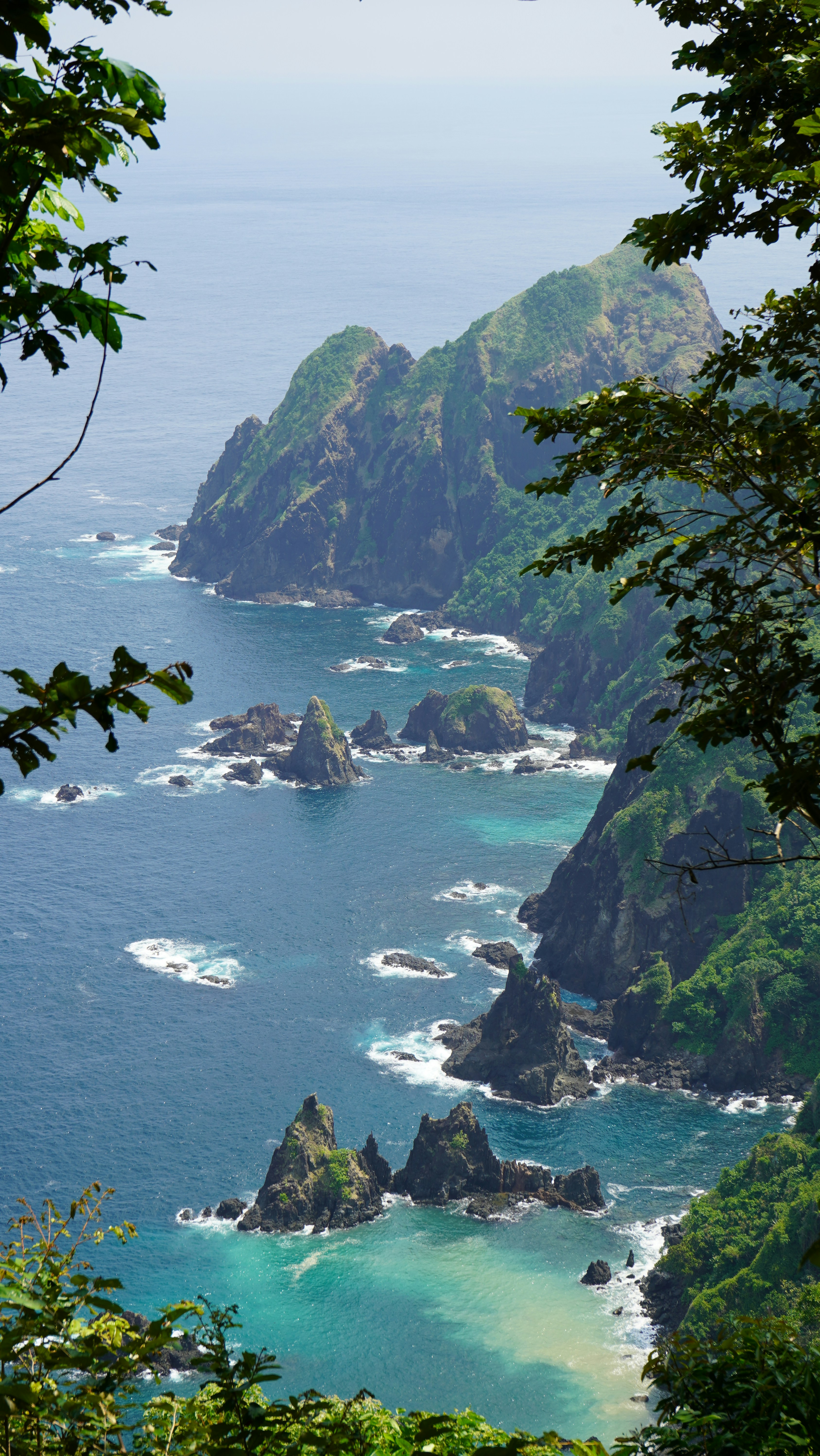 Emerald Shores: A Coastal Tapestry