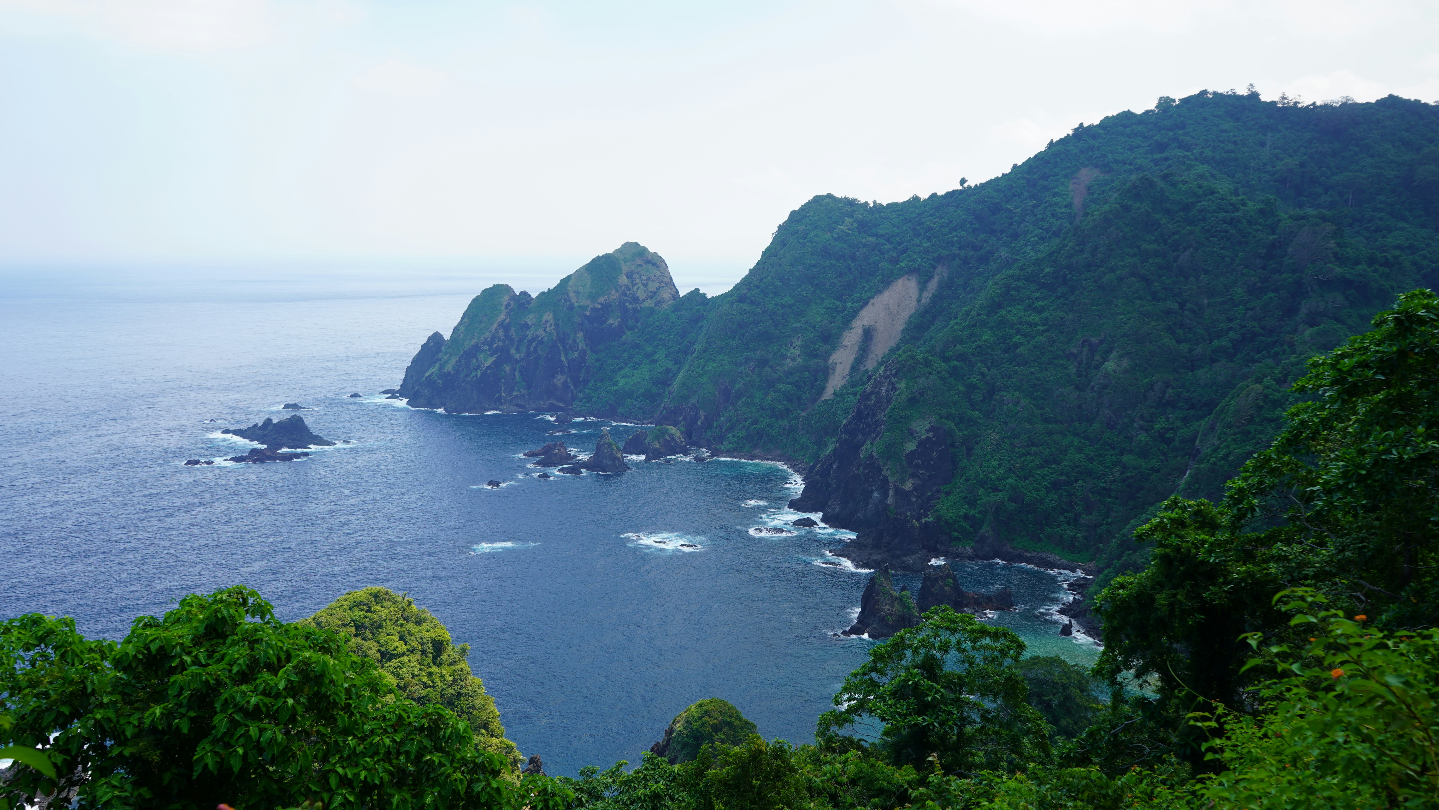 Lush green cliffs meet the deep blue ocean, creating a serene coastal landscape. The scene captures the harmony between land and sea.