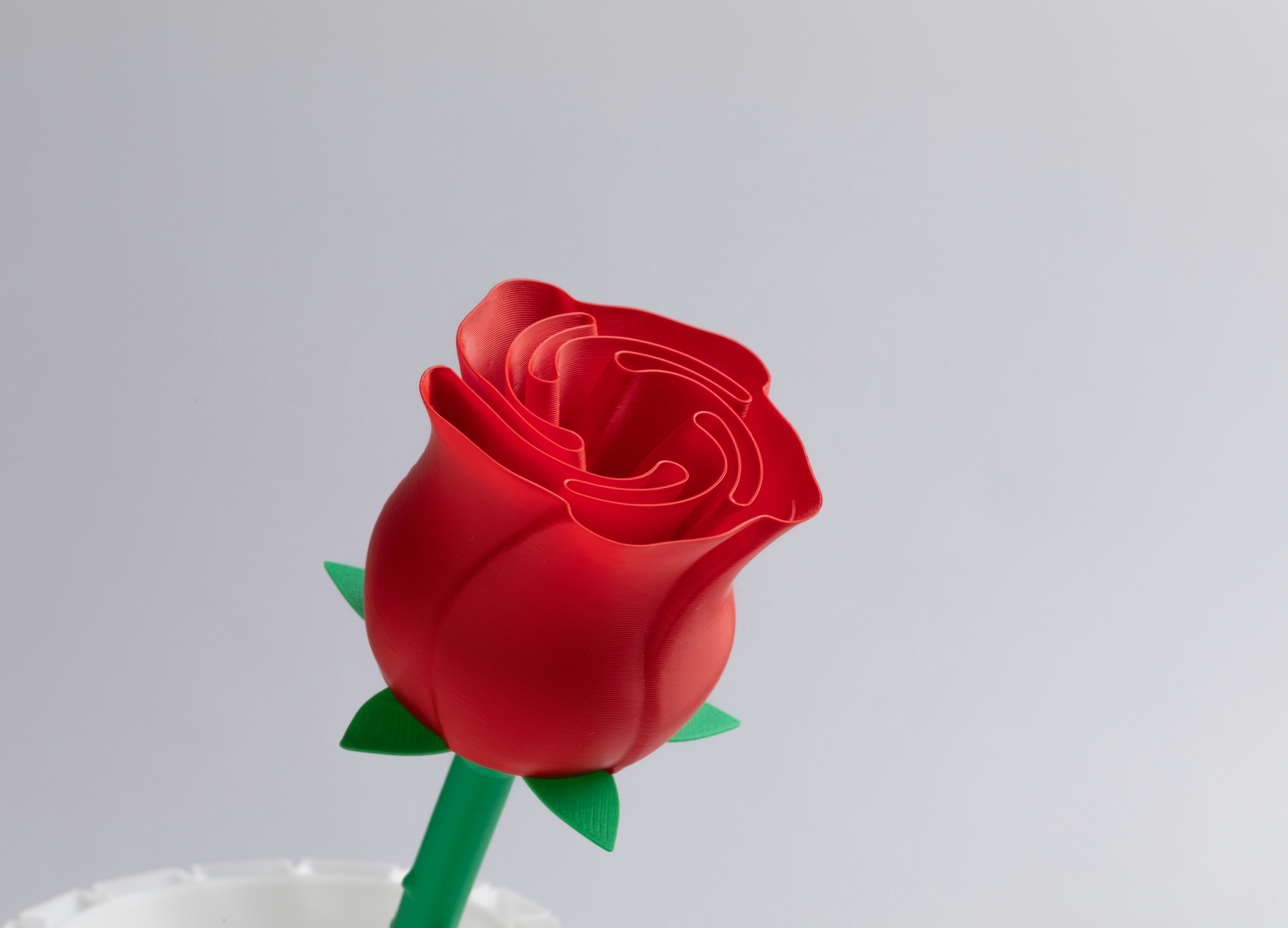 Un capullo de rosa roja descansa sobre un fondo blanco. foto – Imagen ...