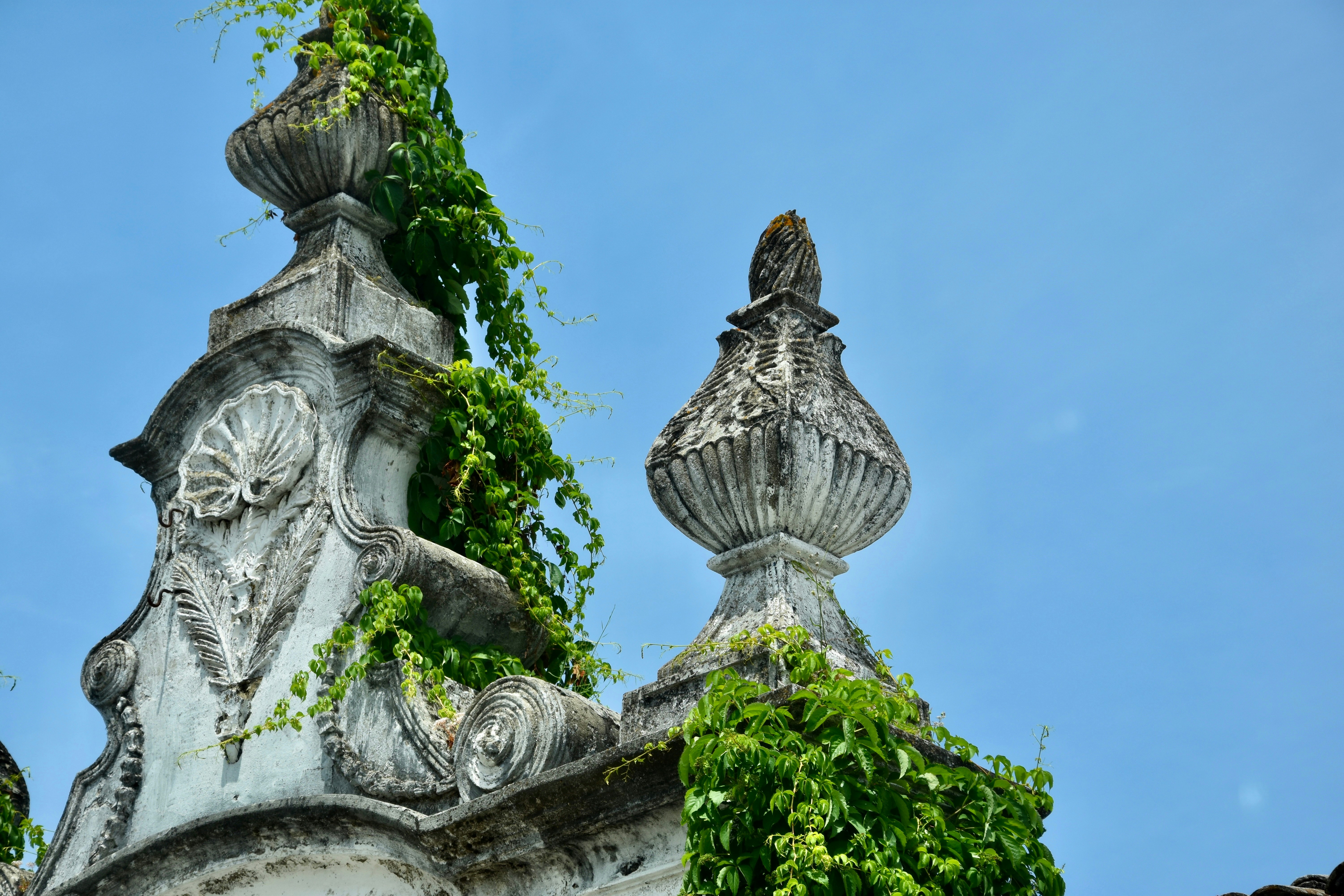 Weathered architectural details adorned with lush greenery under a clear blue sky.