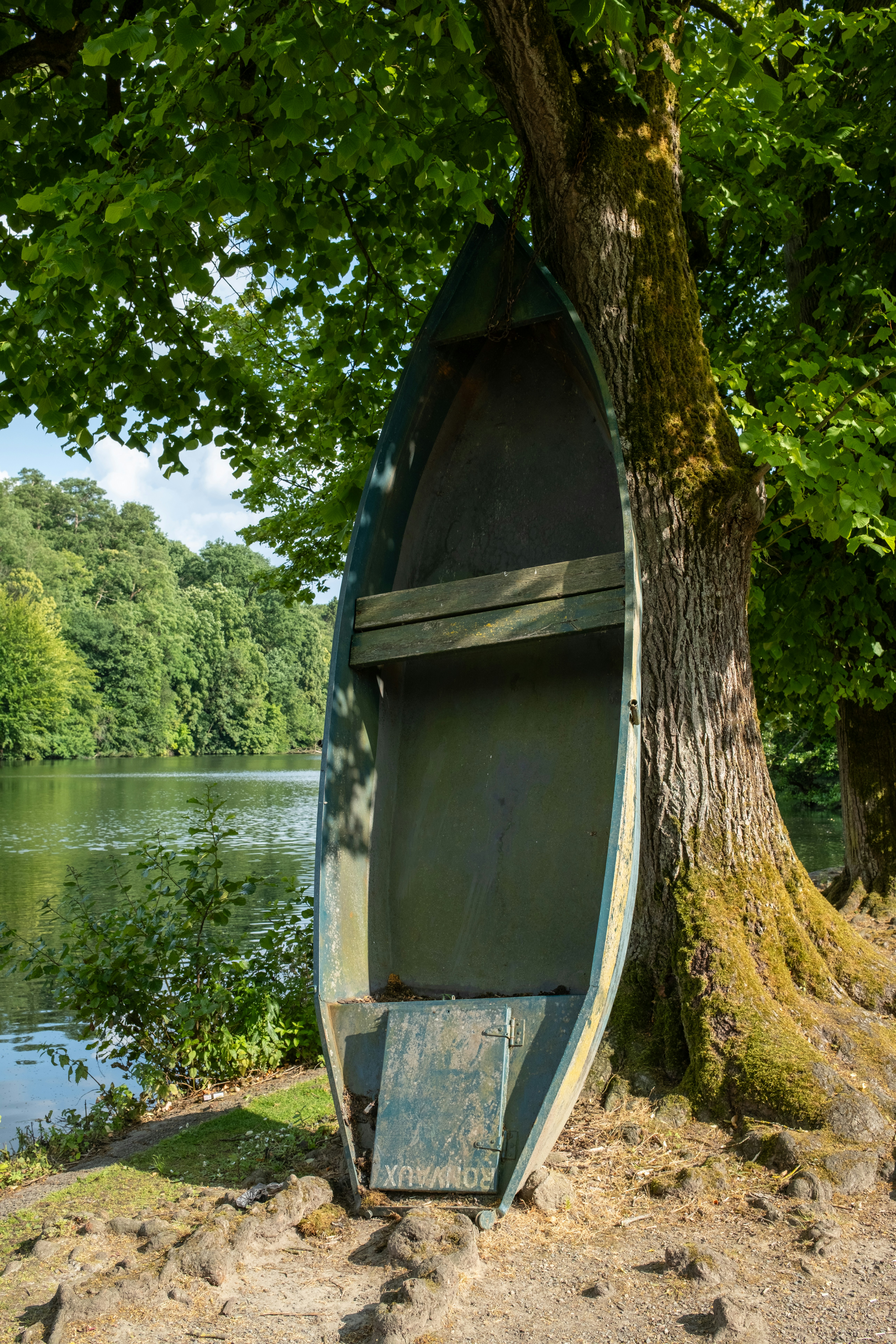 The Forgotten Vessel: Nature's Embrace